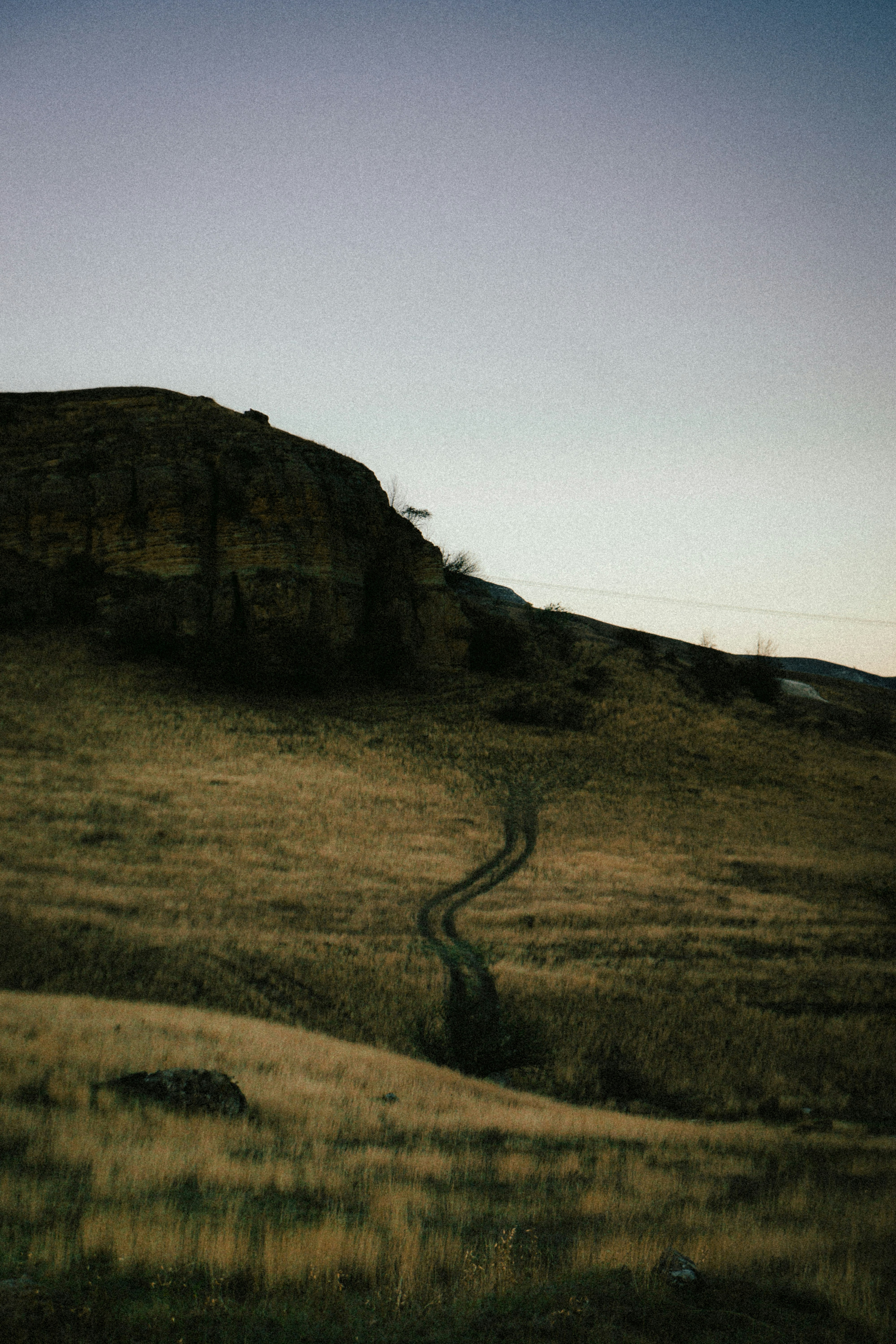 Whispers of the Trail
