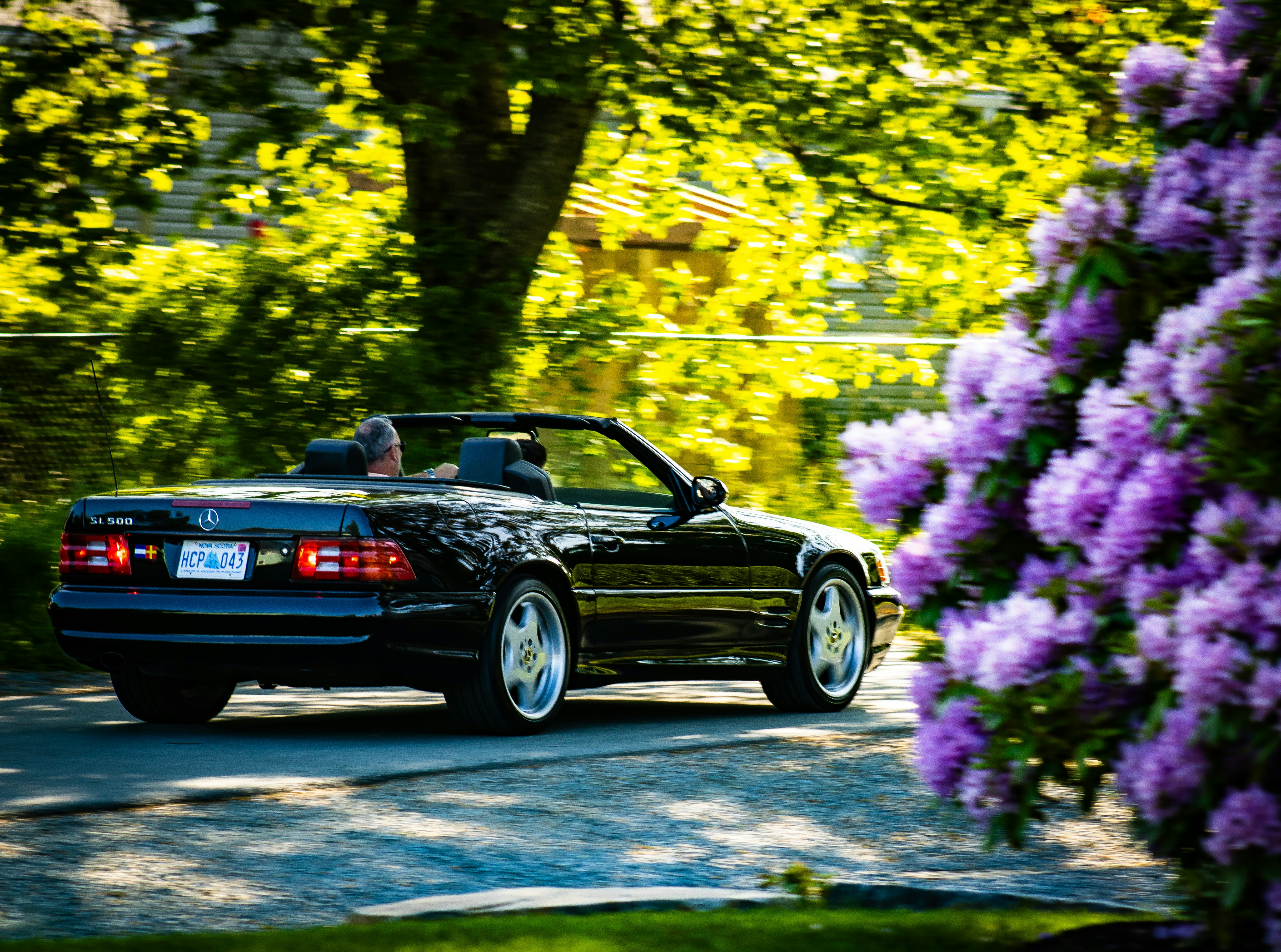 A black convertible drives past some blooming flowers. photo – Free Car ...