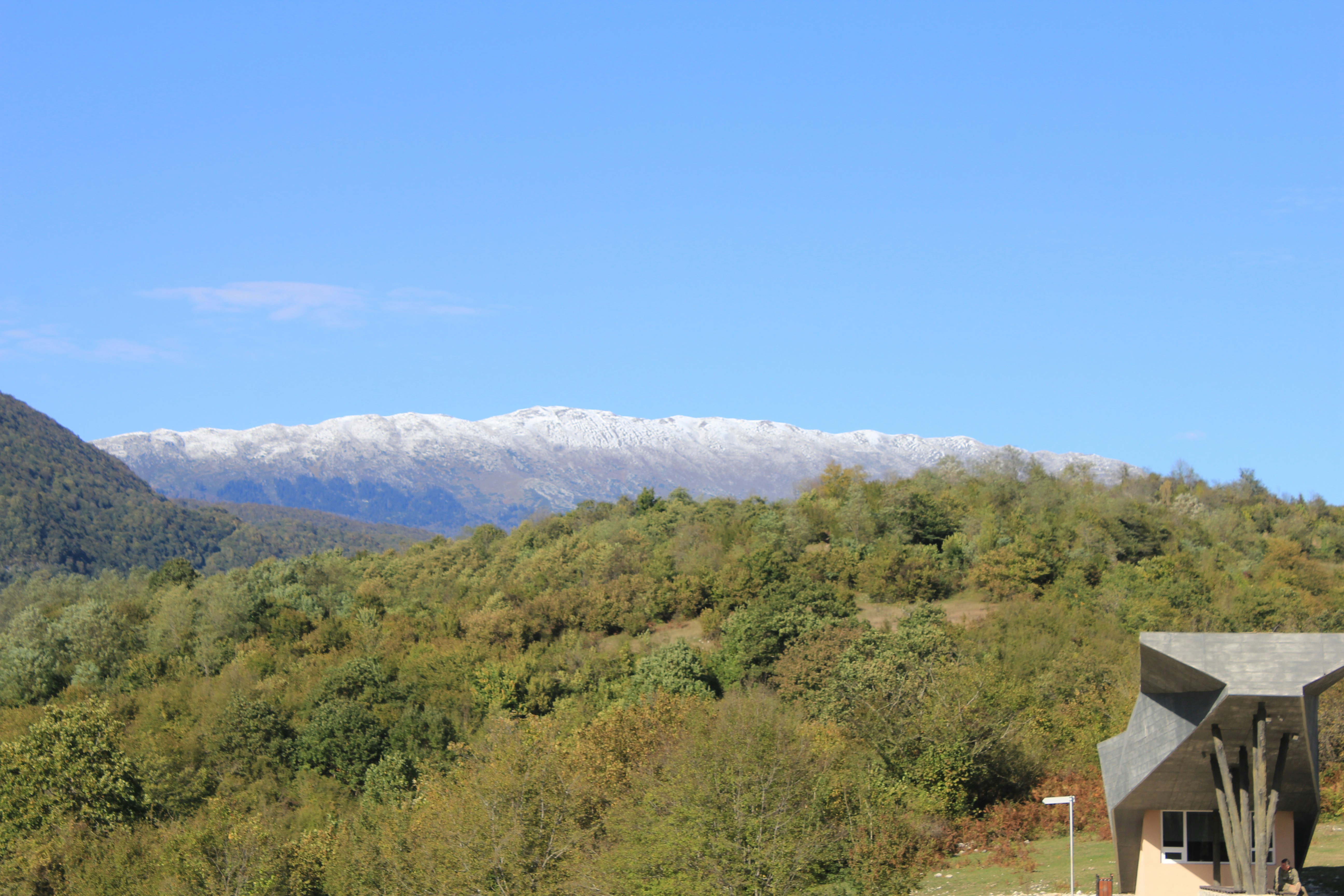 Snow-capped mountains loom over green trees.