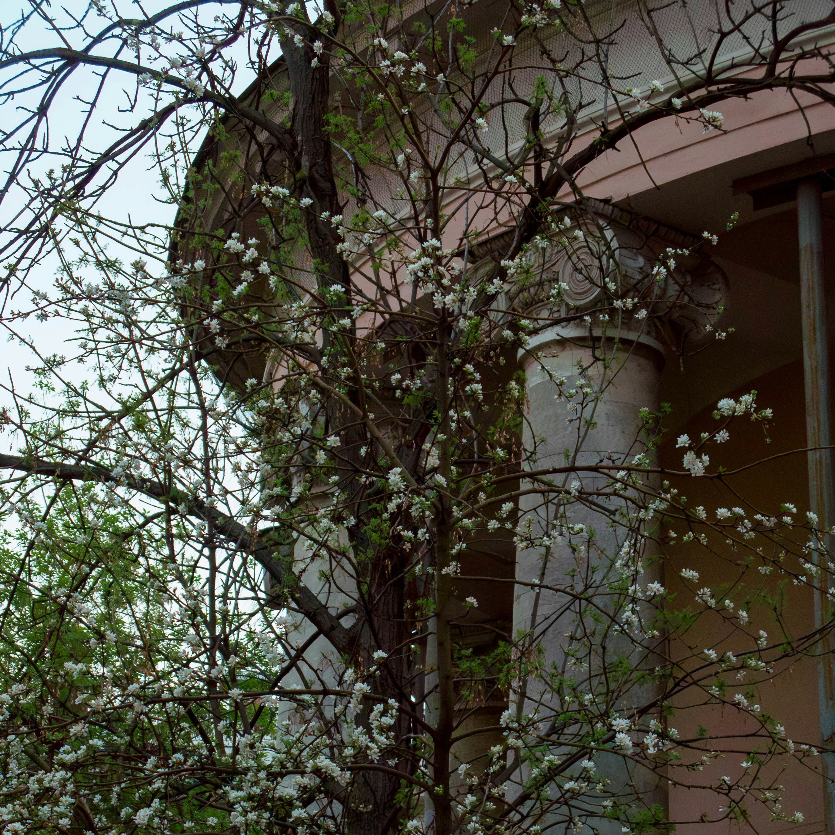 Photo by Stepan Plestov with Canon PowerShot G7