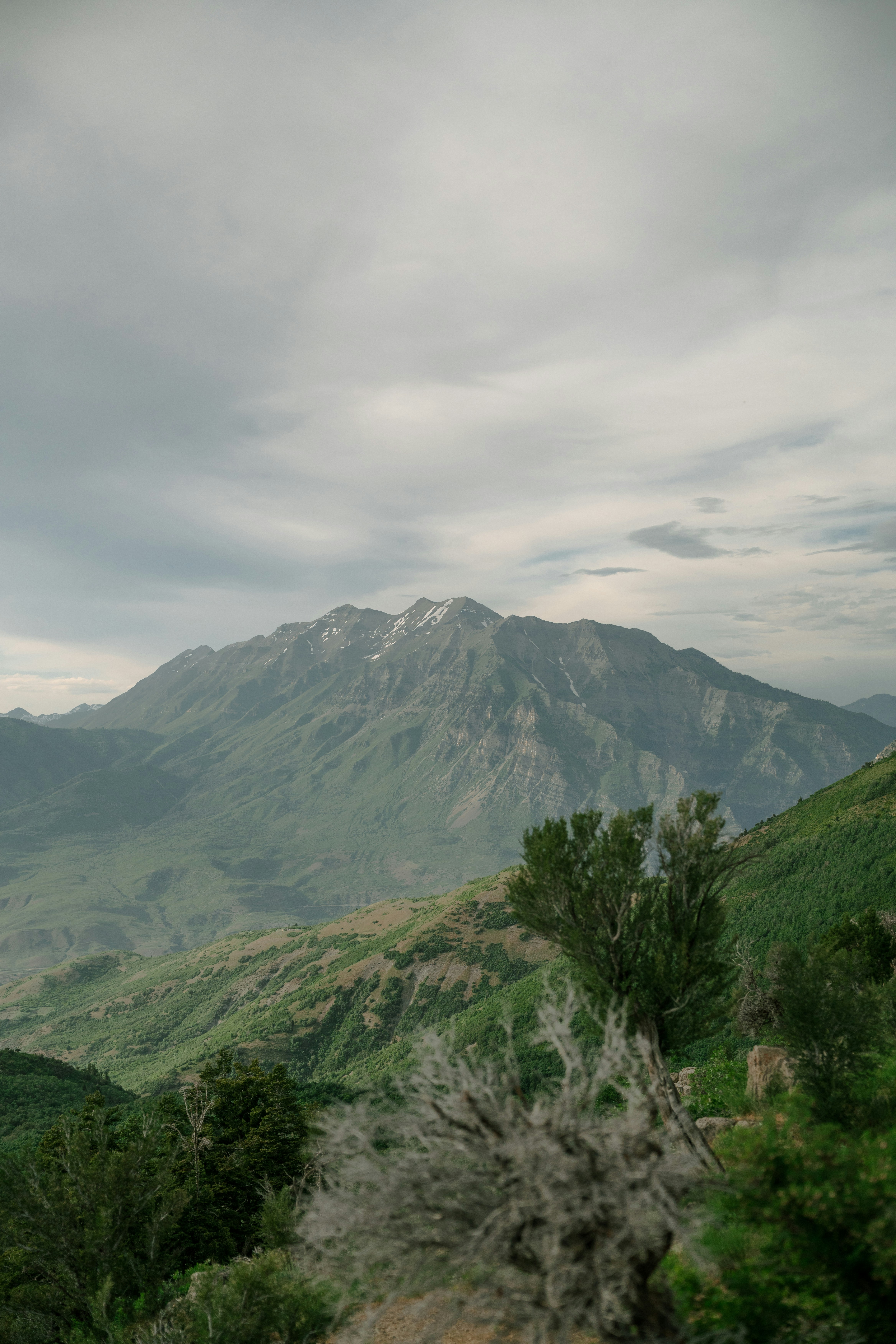 Majestic mountain range adorned with patches of snow, framed by lush greenery and a soft, overcast sky.