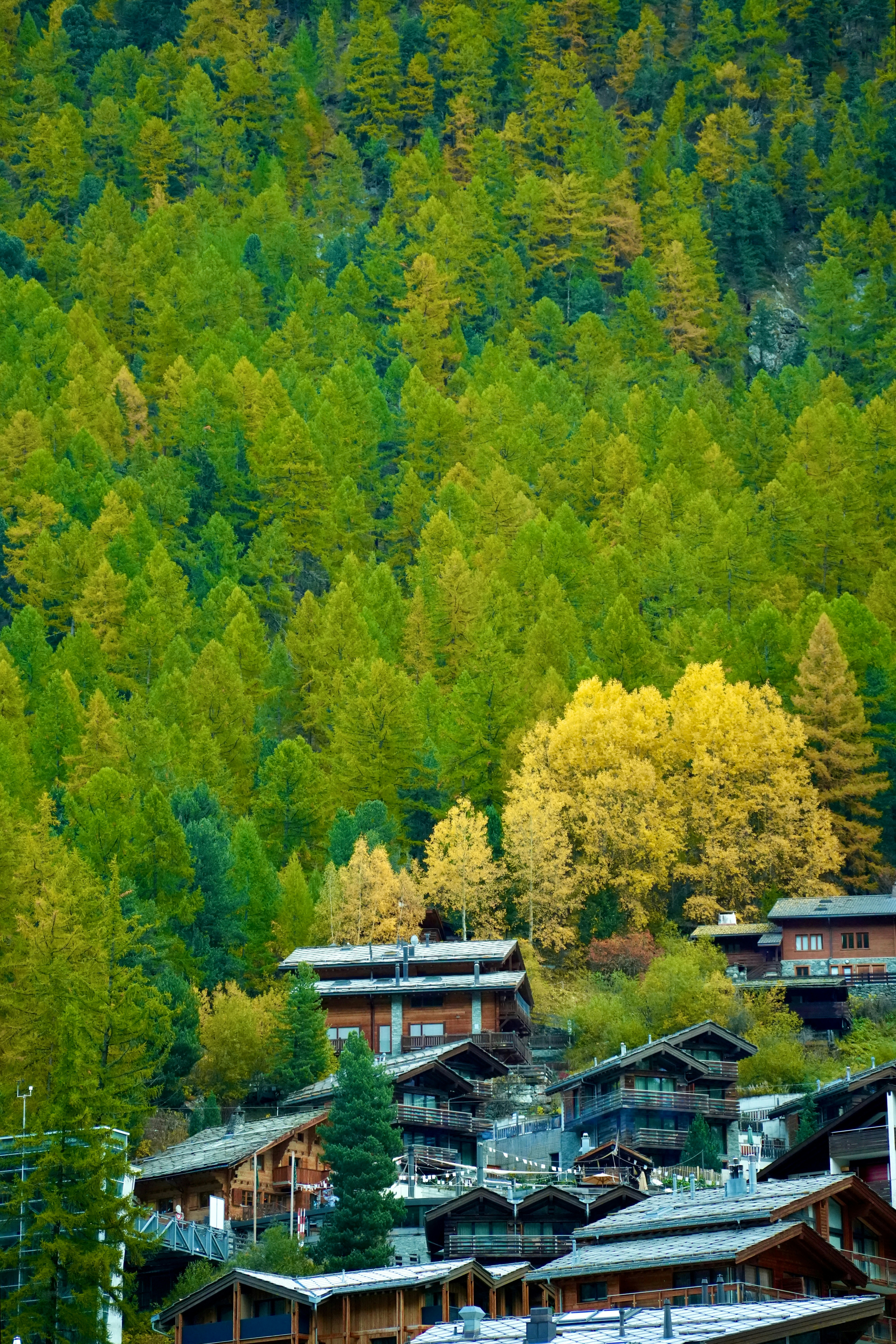 Autumn's Embrace Over Alpine Retreats