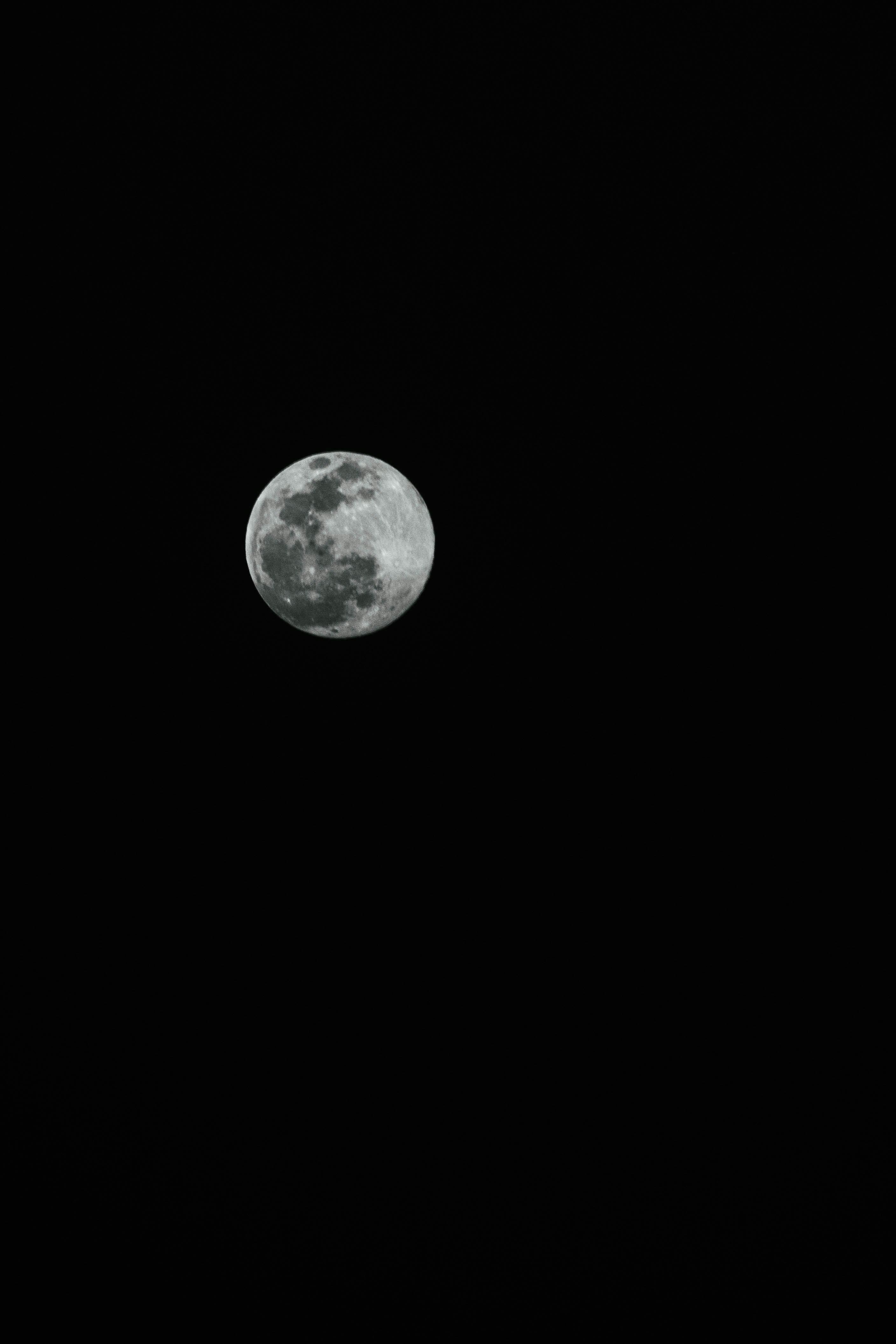 Lunar Serenity: A Glimpse of the Night Sky