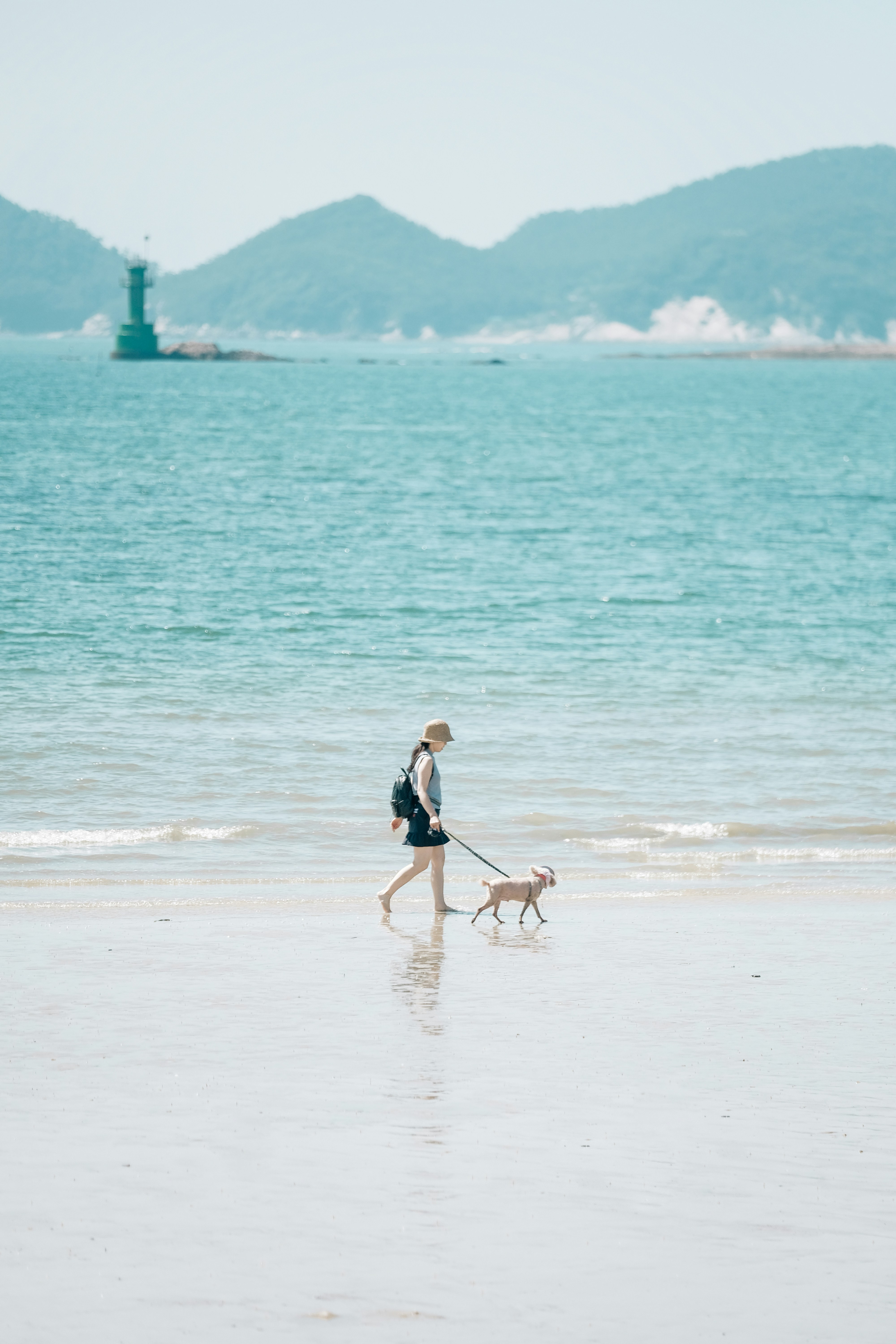 Person walking a dog along a tranquil beach with gentle waves and distant hills. The scene conveys a sense of calm and connection with nature.