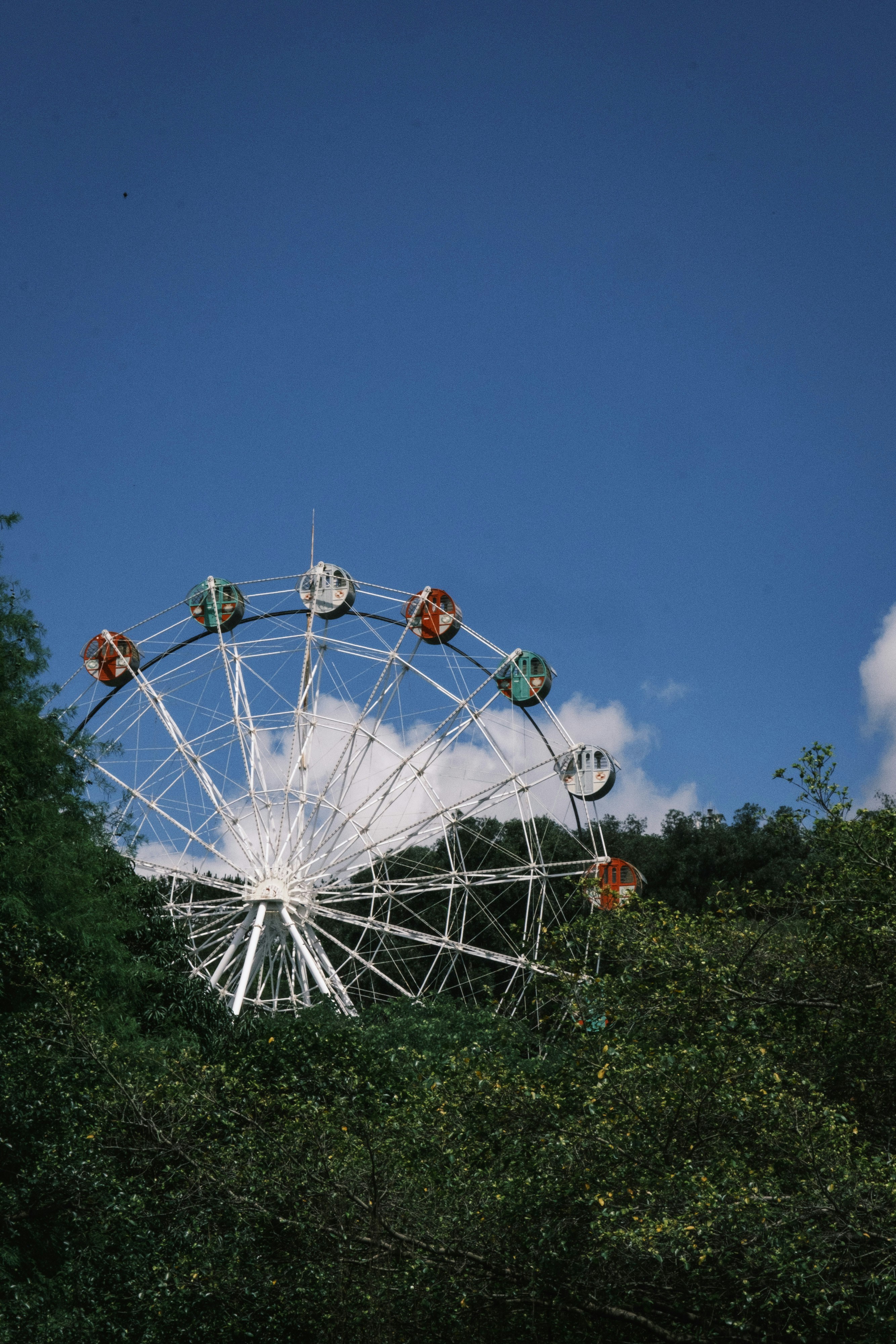 Whispers of Nostalgia: The Forgotten Ferris Wheel