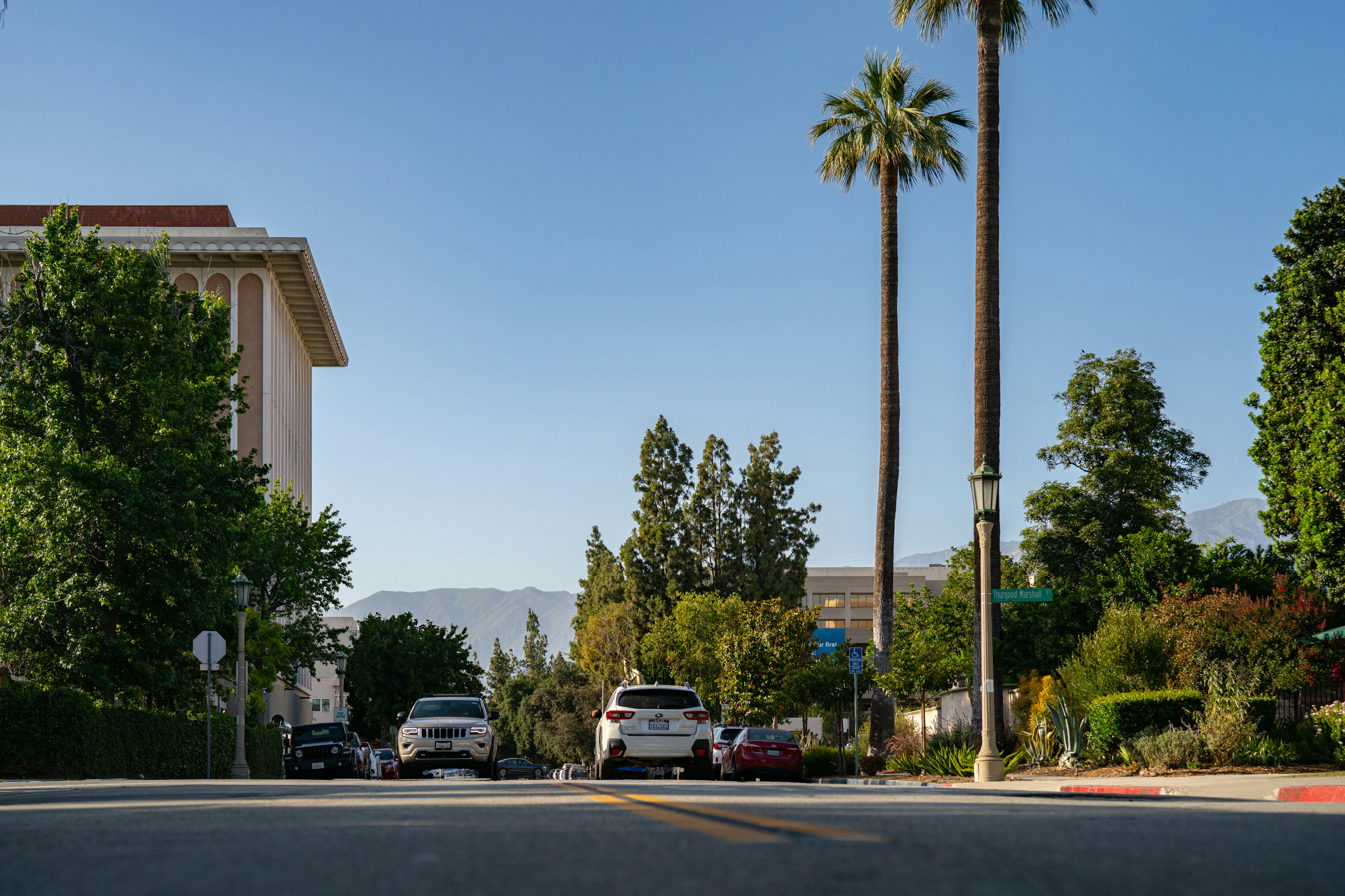 Cars drive on a street lined with palm trees.