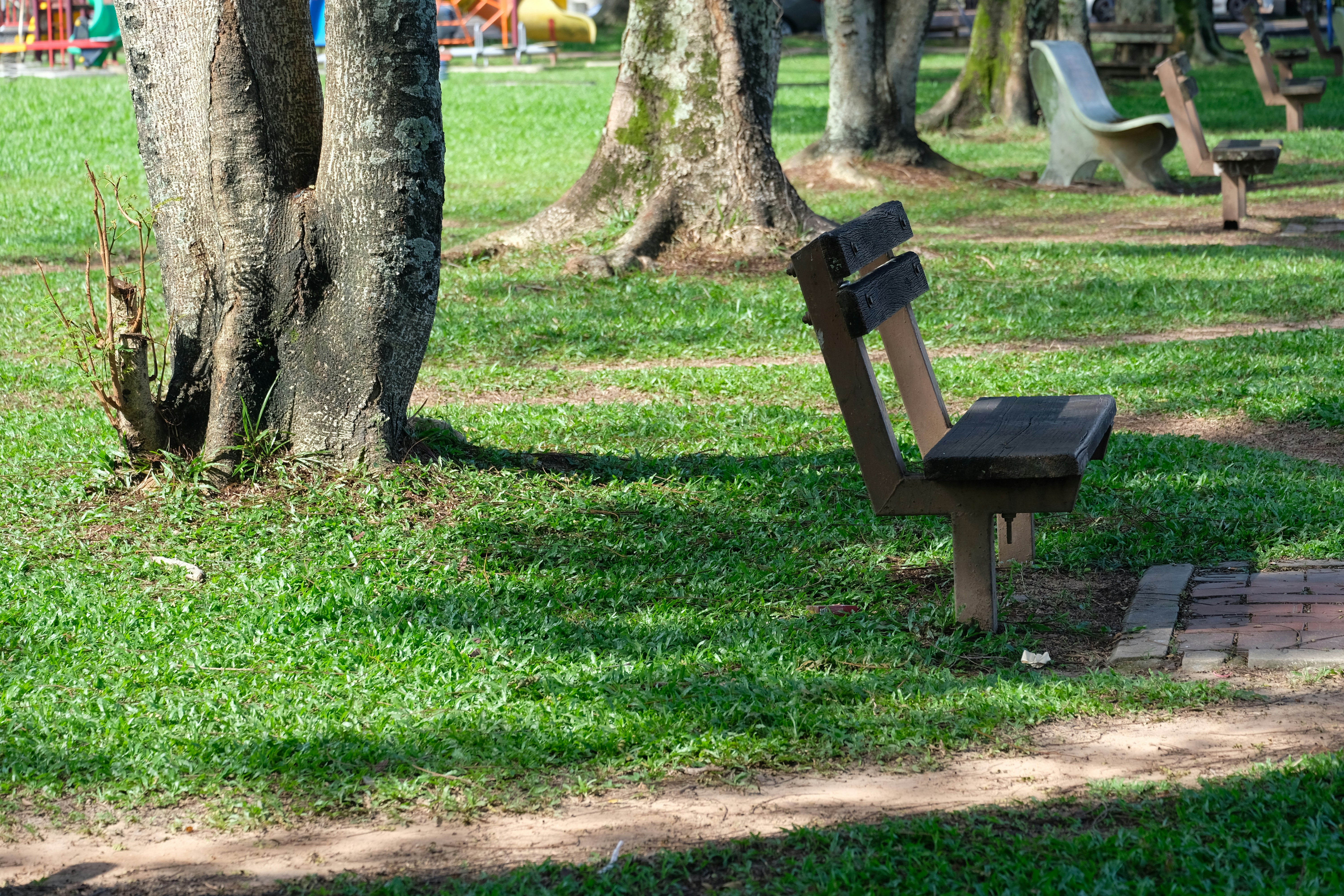 A solitary park bench nestled between towering trees, surrounded by vibrant green grass, inviting moments of reflection. The scene captures the tranquil essence of a serene outdoor space.