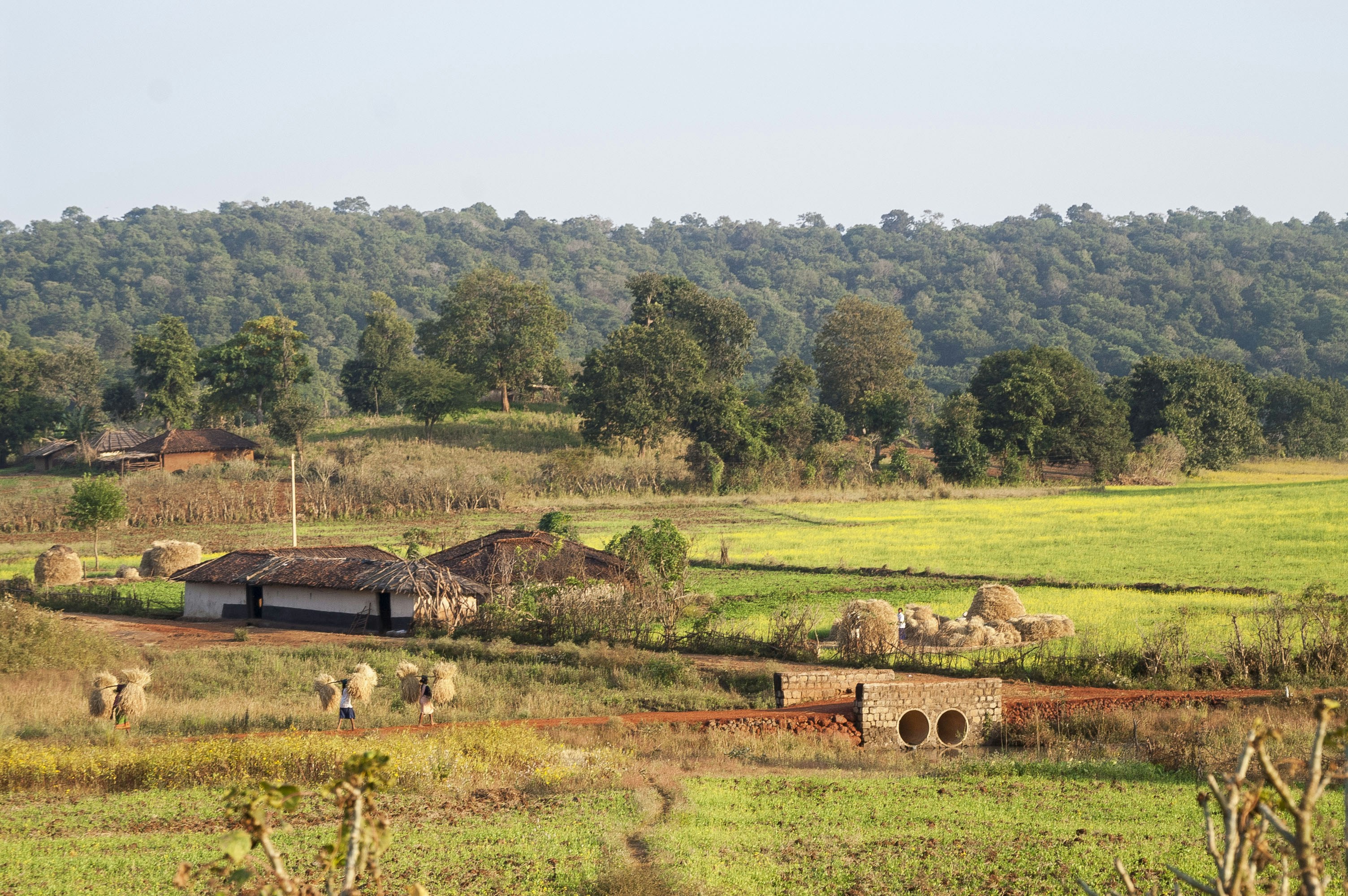 KONICA MINOLTA DIGITAL CAMERA | A serene rural landscape with a small village.