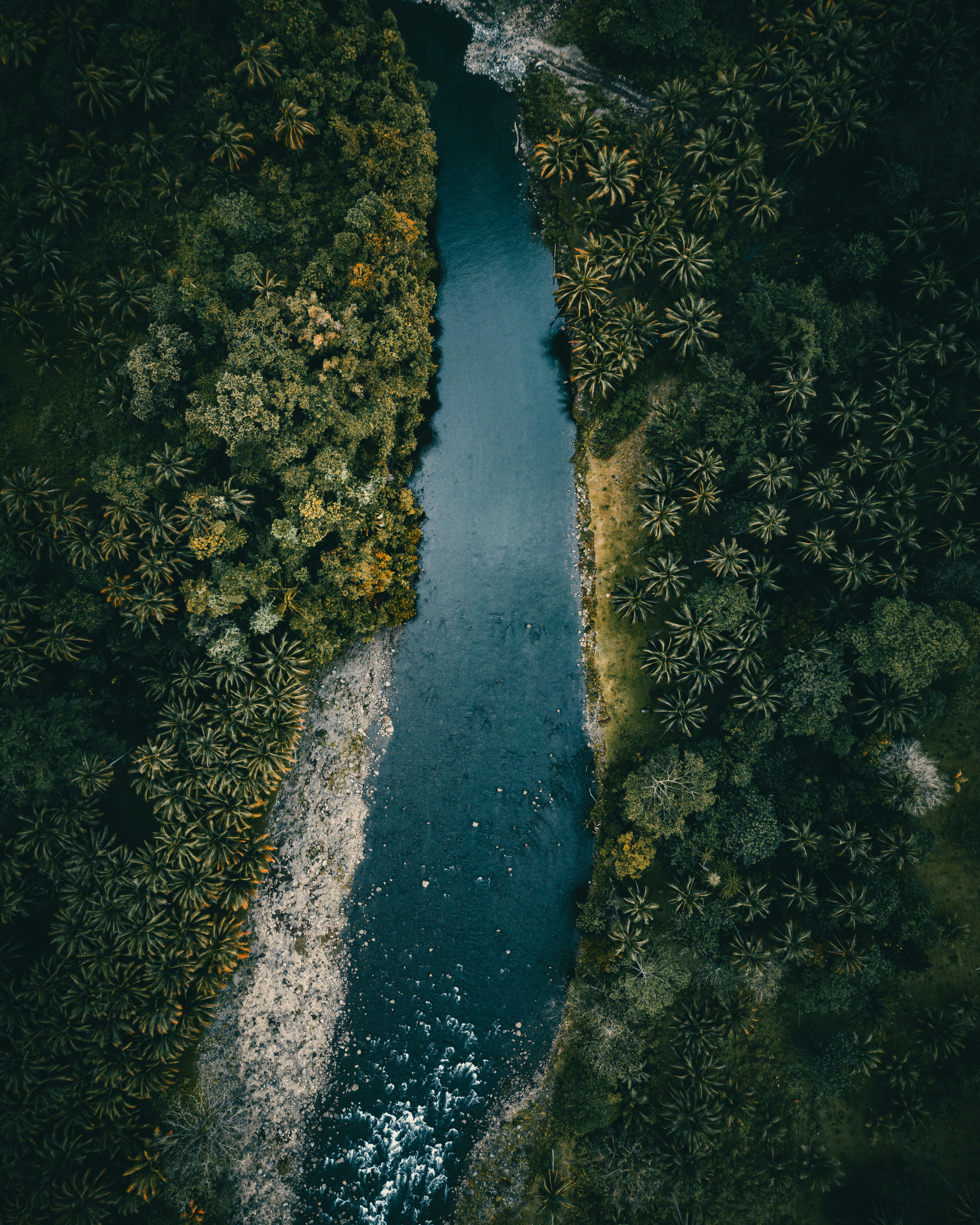 River | A winding river flows through lush, green forest.