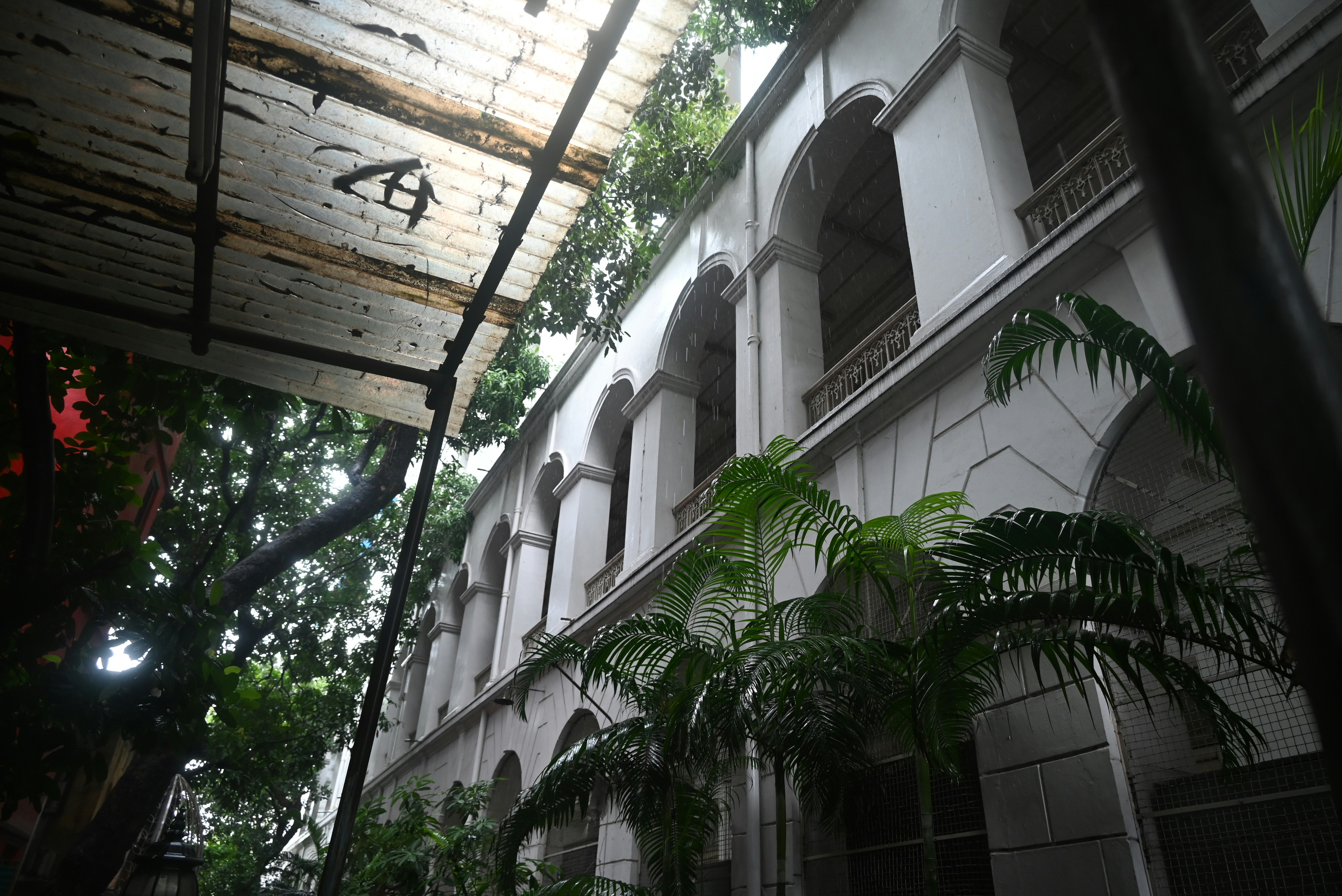 Whispers of History Amidst Lush Greenery