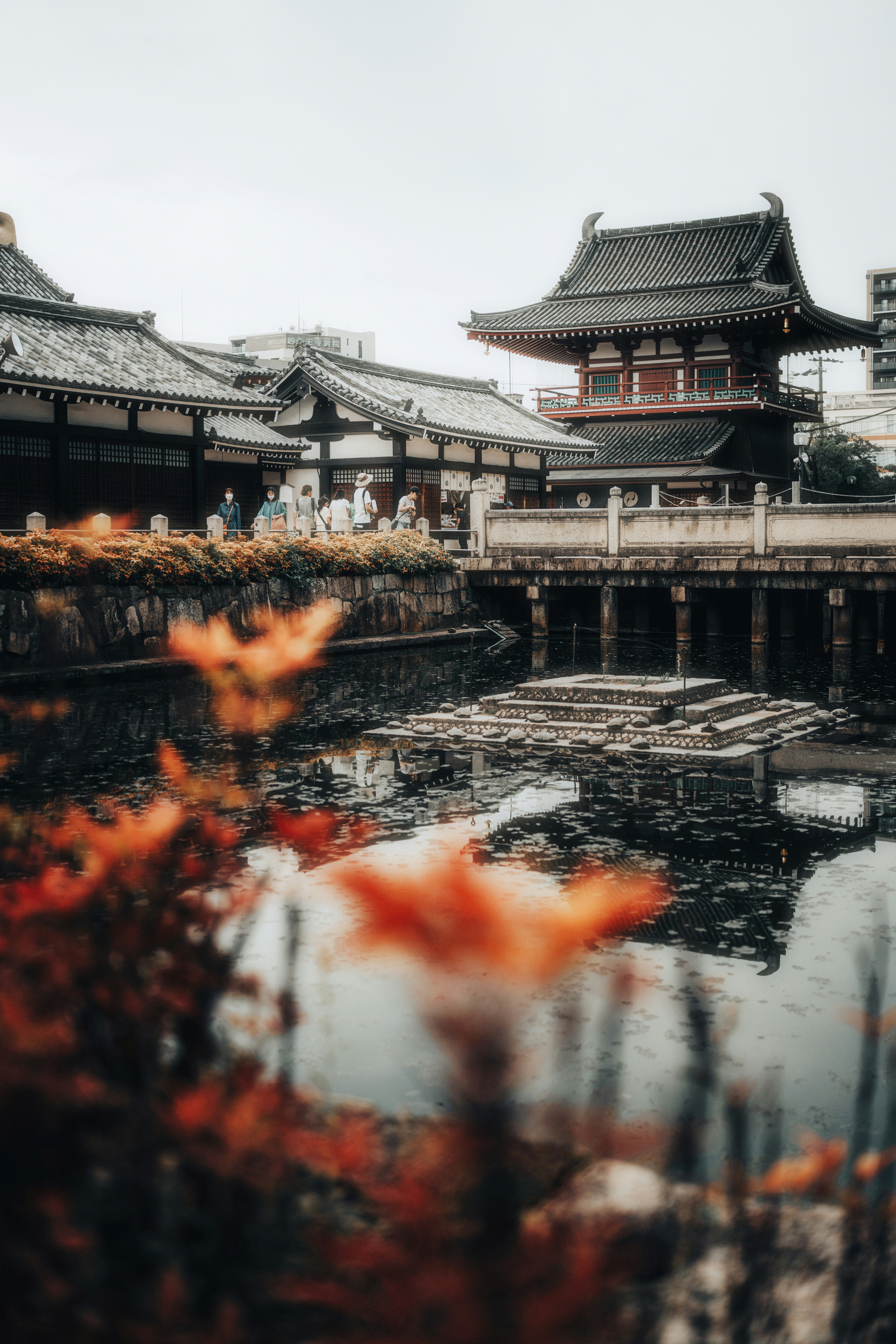 Sample photo from Sony Alpha 7C R