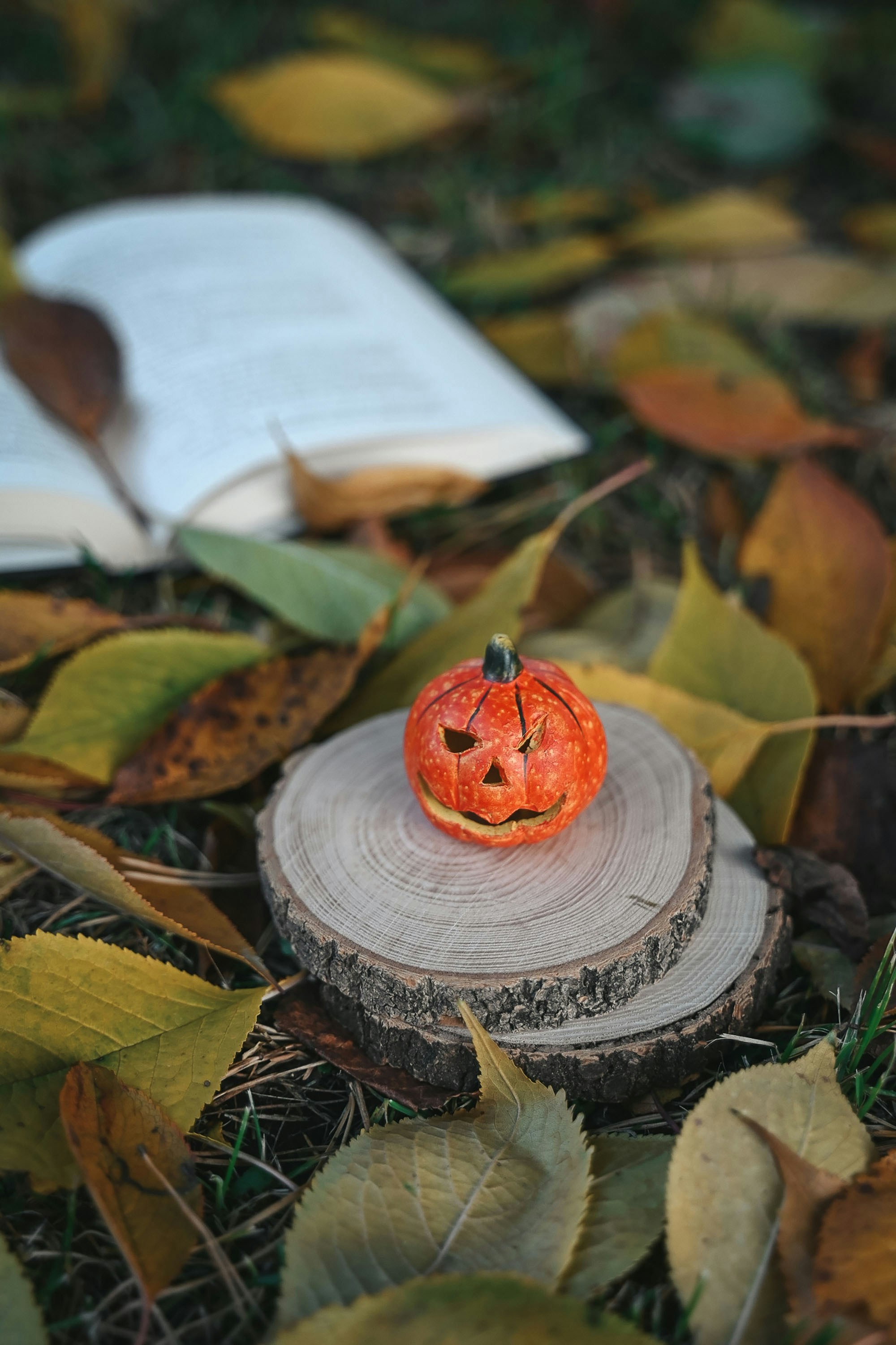 Whimsical Autumnal Delight