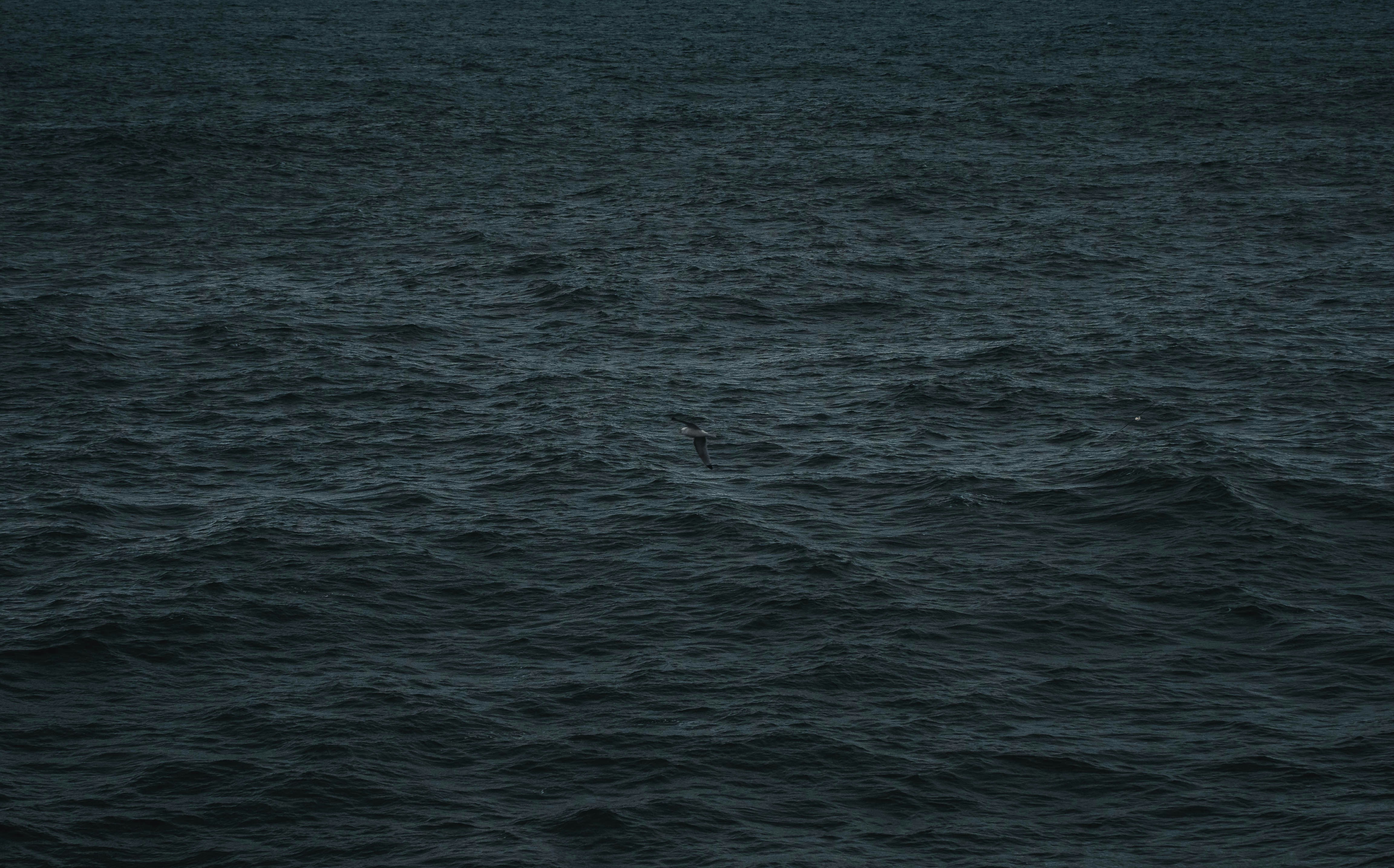 Dark and wavy ocean stretches into the distance.