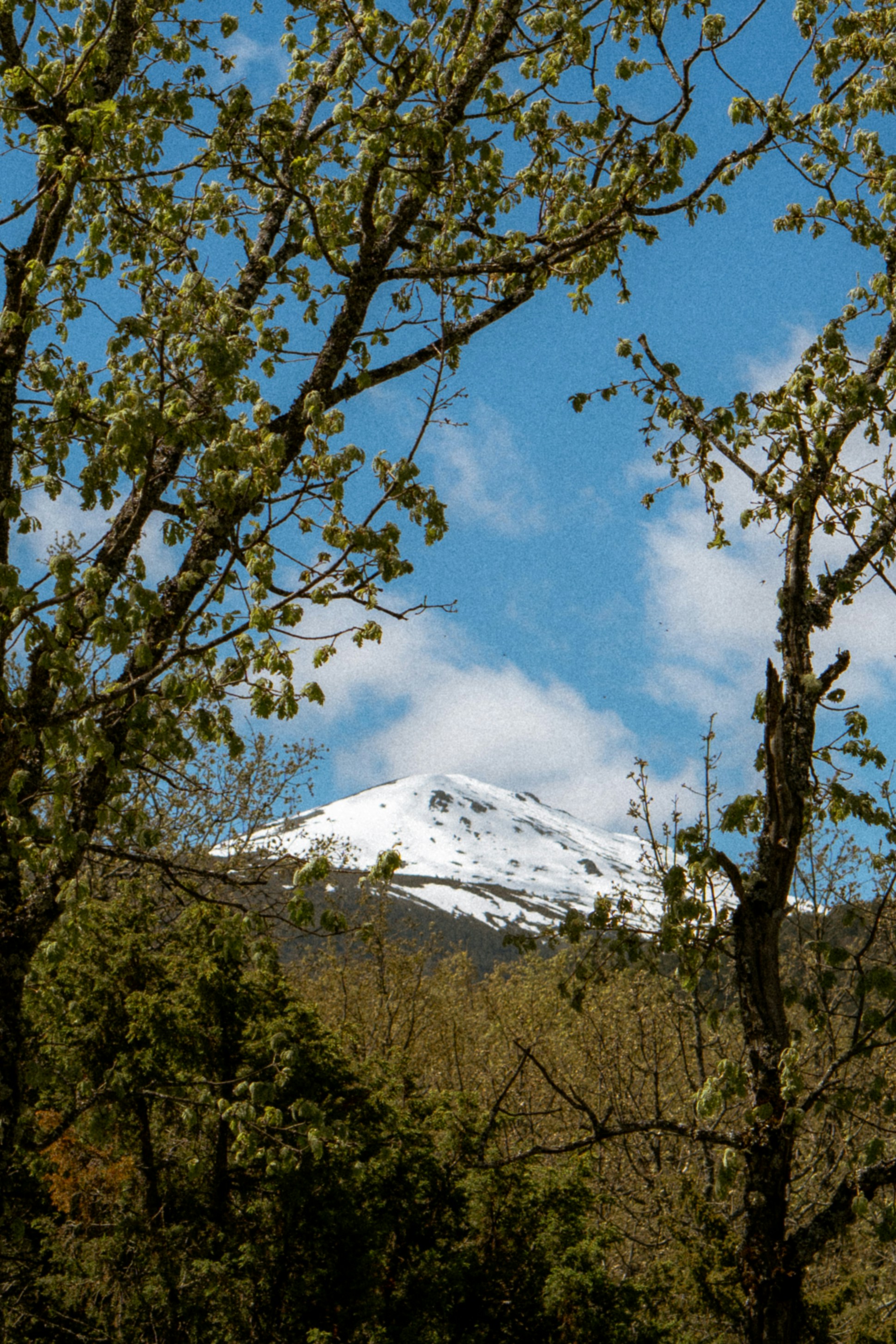 Emerging Peaks: Nature's Framed Masterpiece