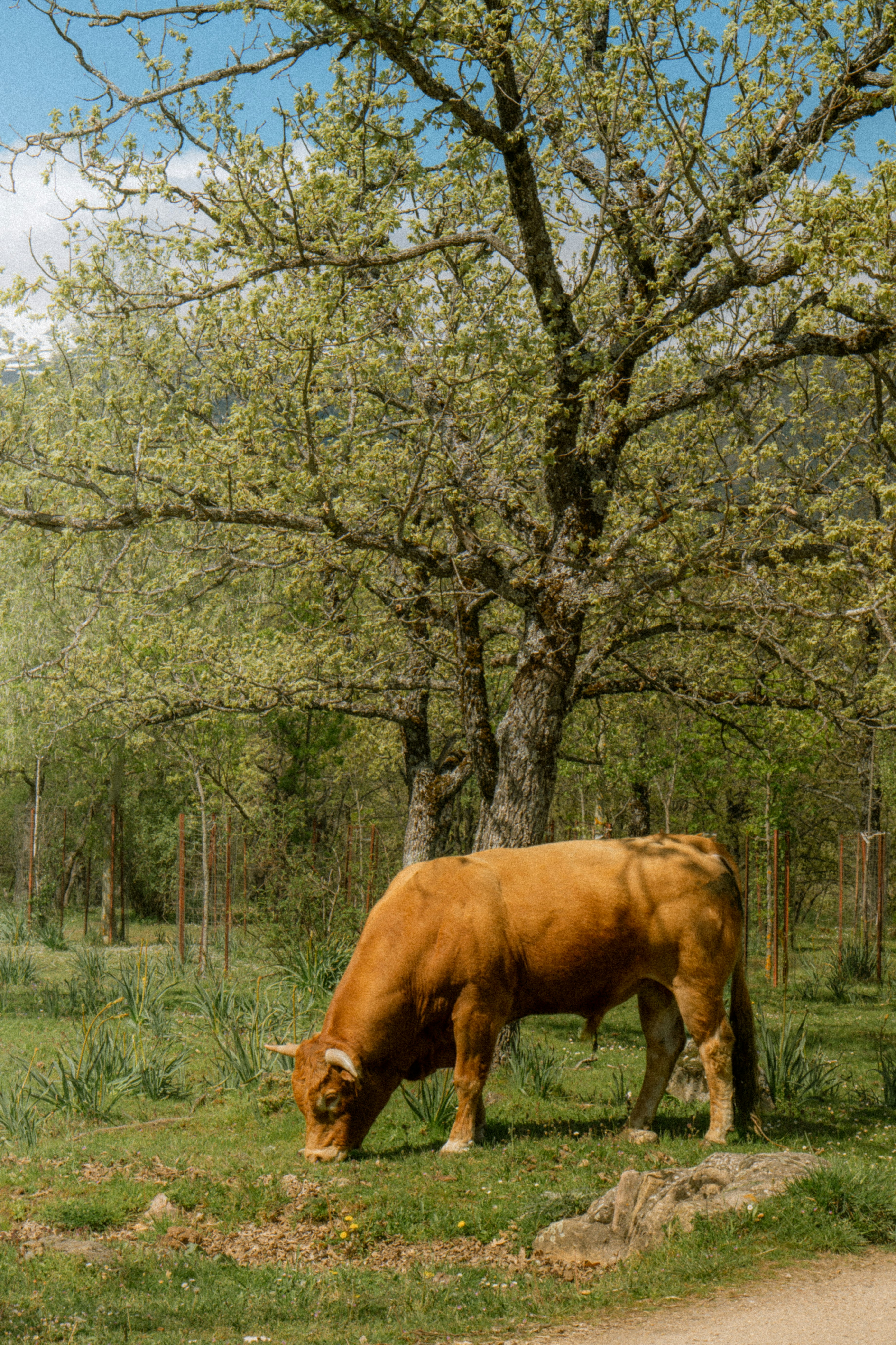 A Serene Moment in Nature's Embrace