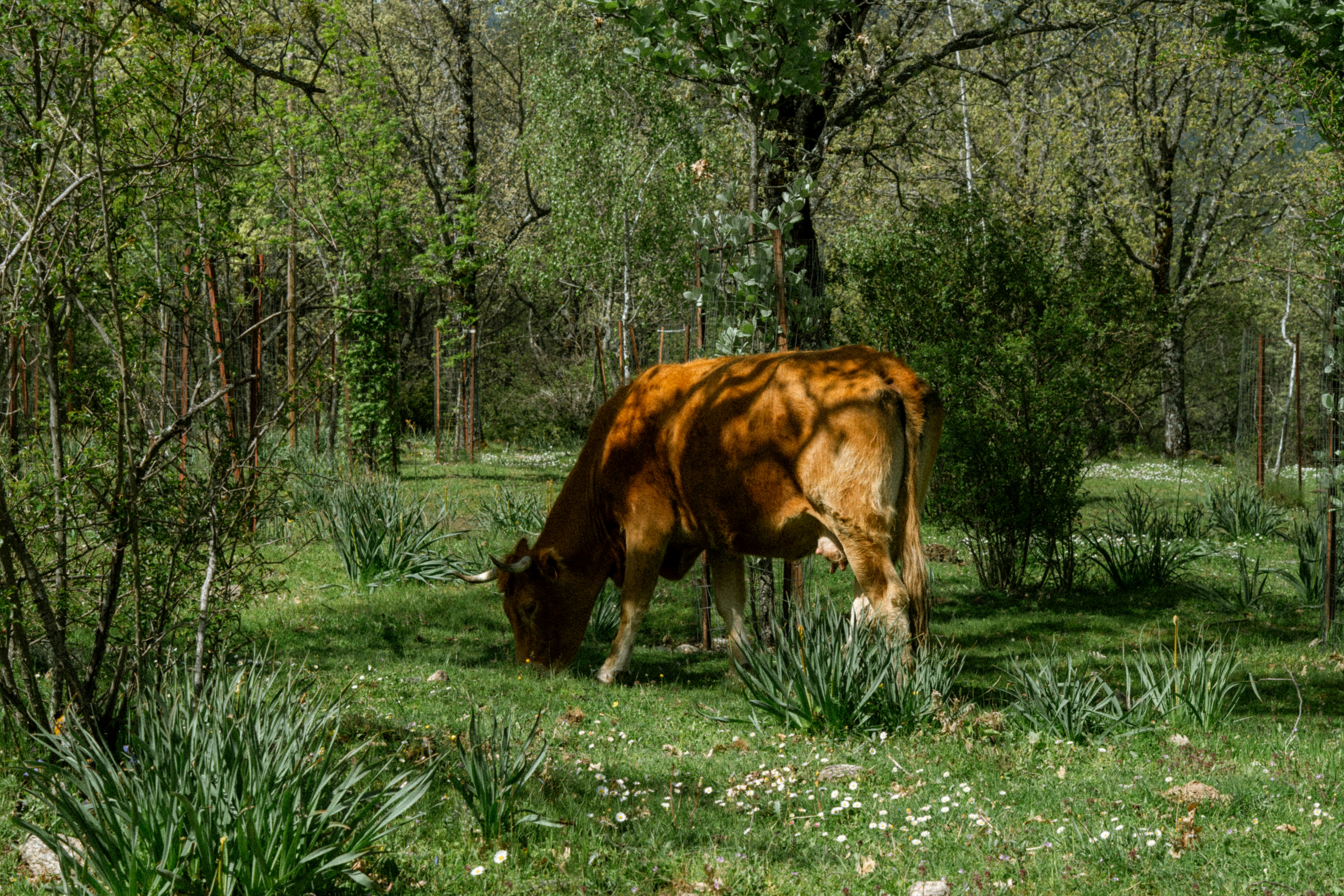 Photo by Victor Rosario with Sony Alpha 6700