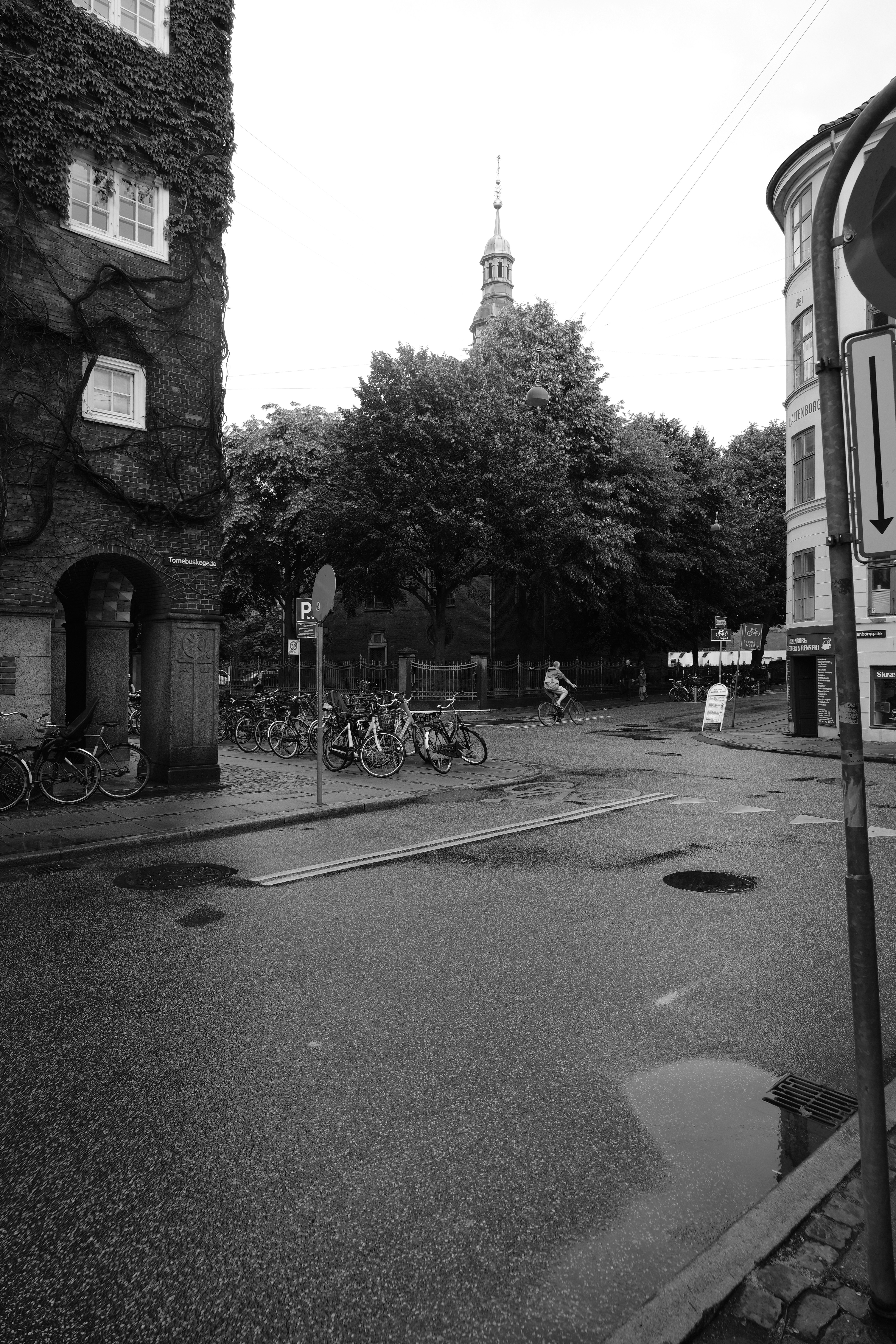 Urban Courtyard: Bicycles, Trees and a Clock-Tower Whisper
