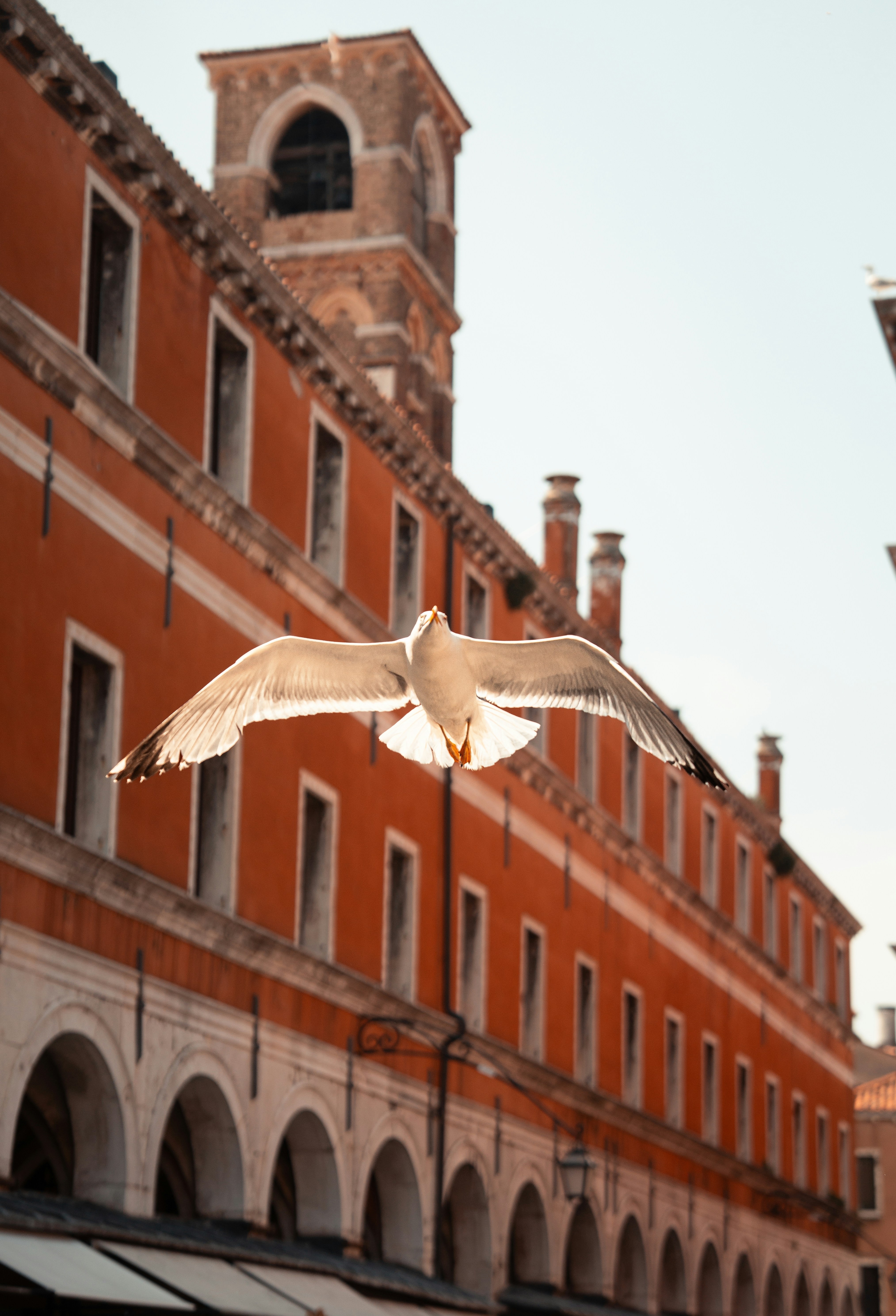 Photo by Thibault Lam Tran with Sony Alpha 7C II