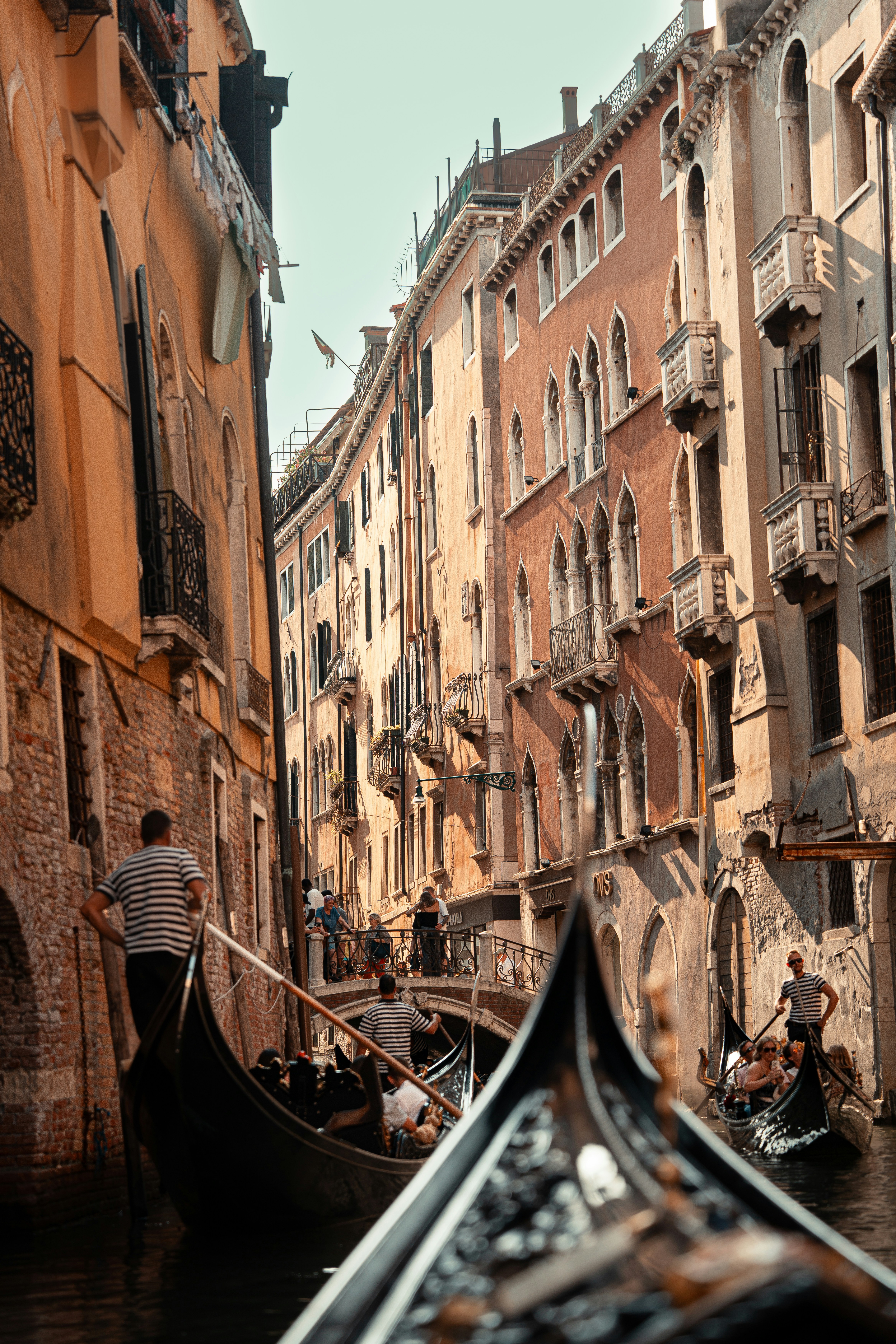 Gondoliers' Serenade in the Heart of Venice