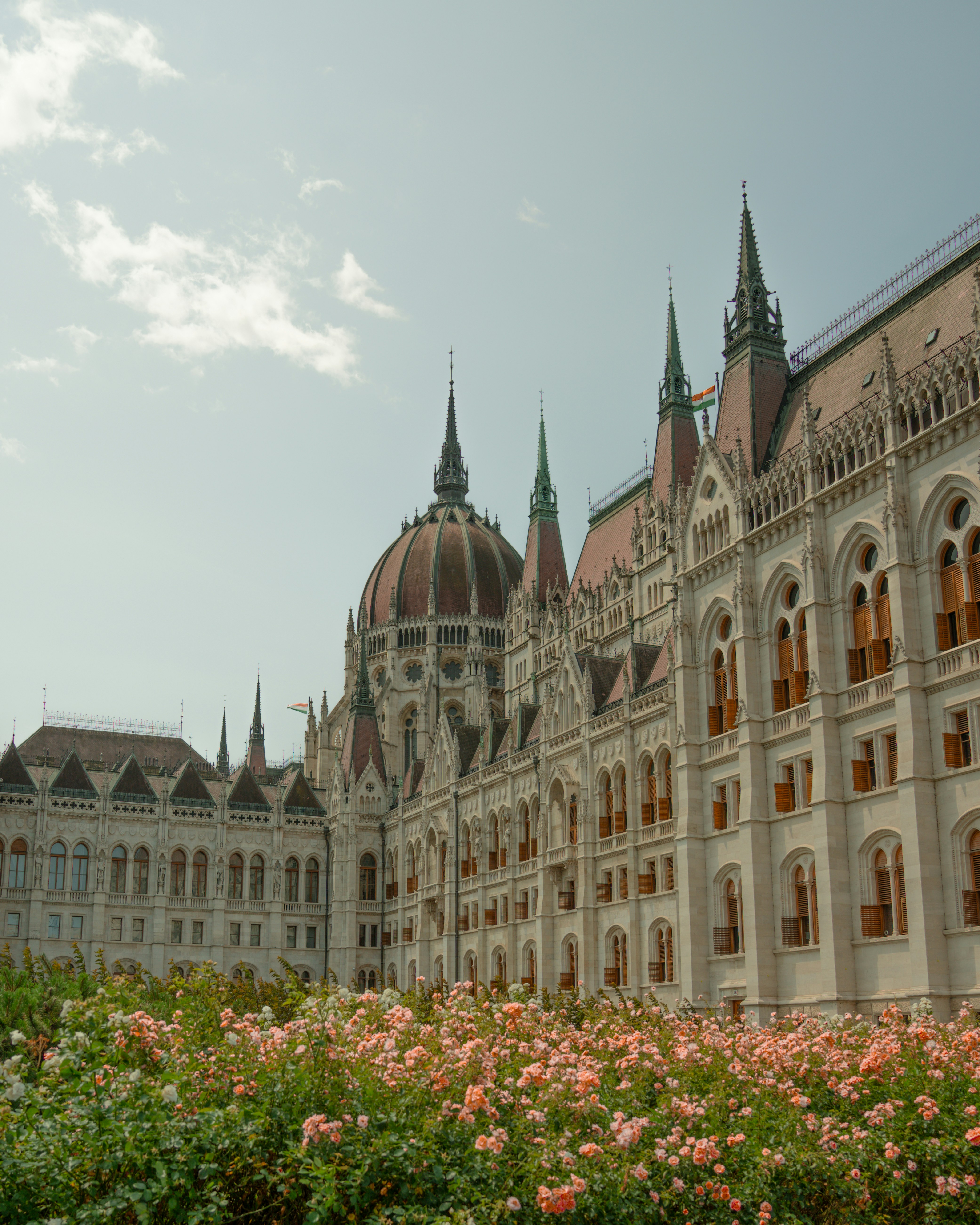 Budapest Parliament Dome Framed by a Bed of Pink Roses