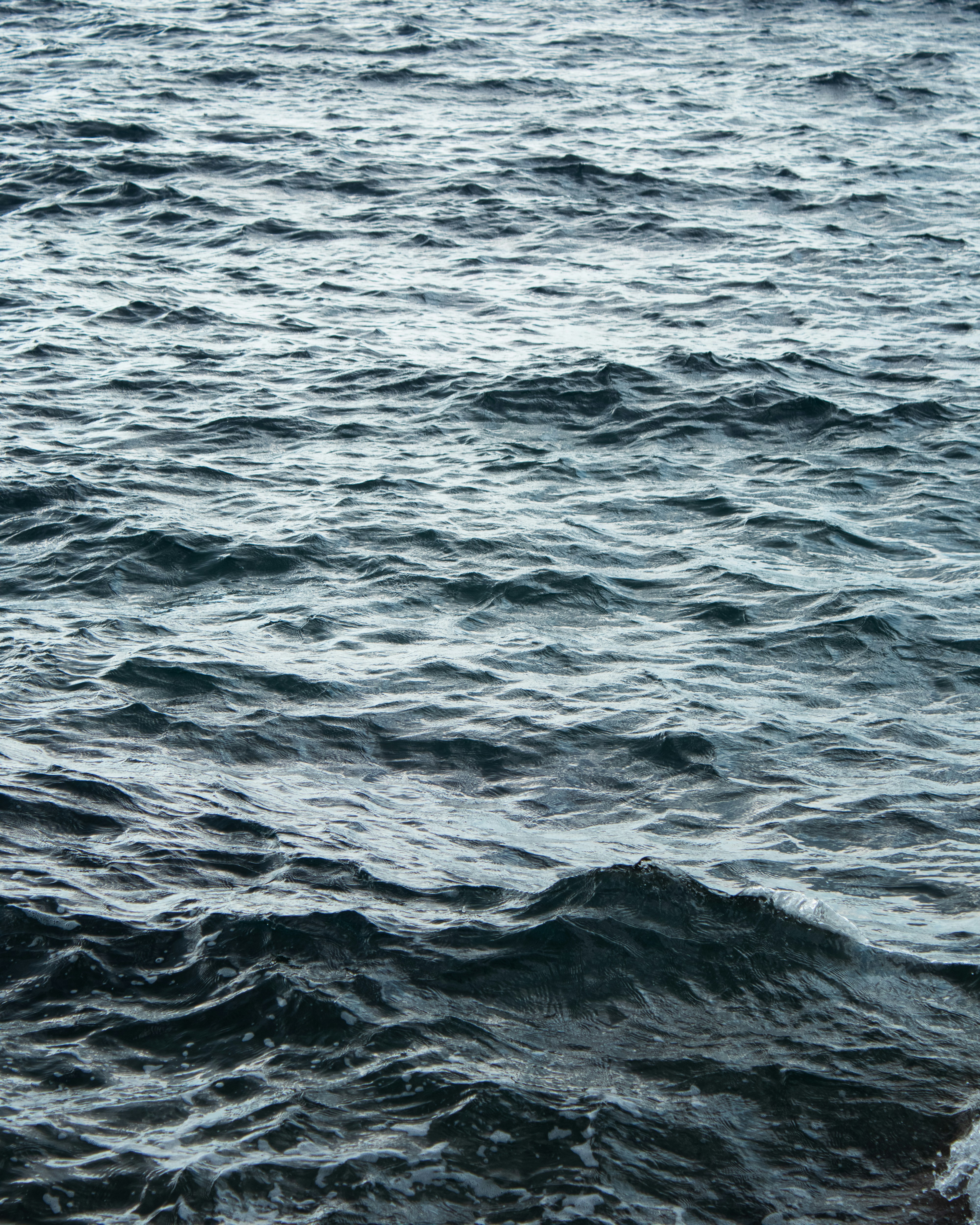 Rhythms of the Deep