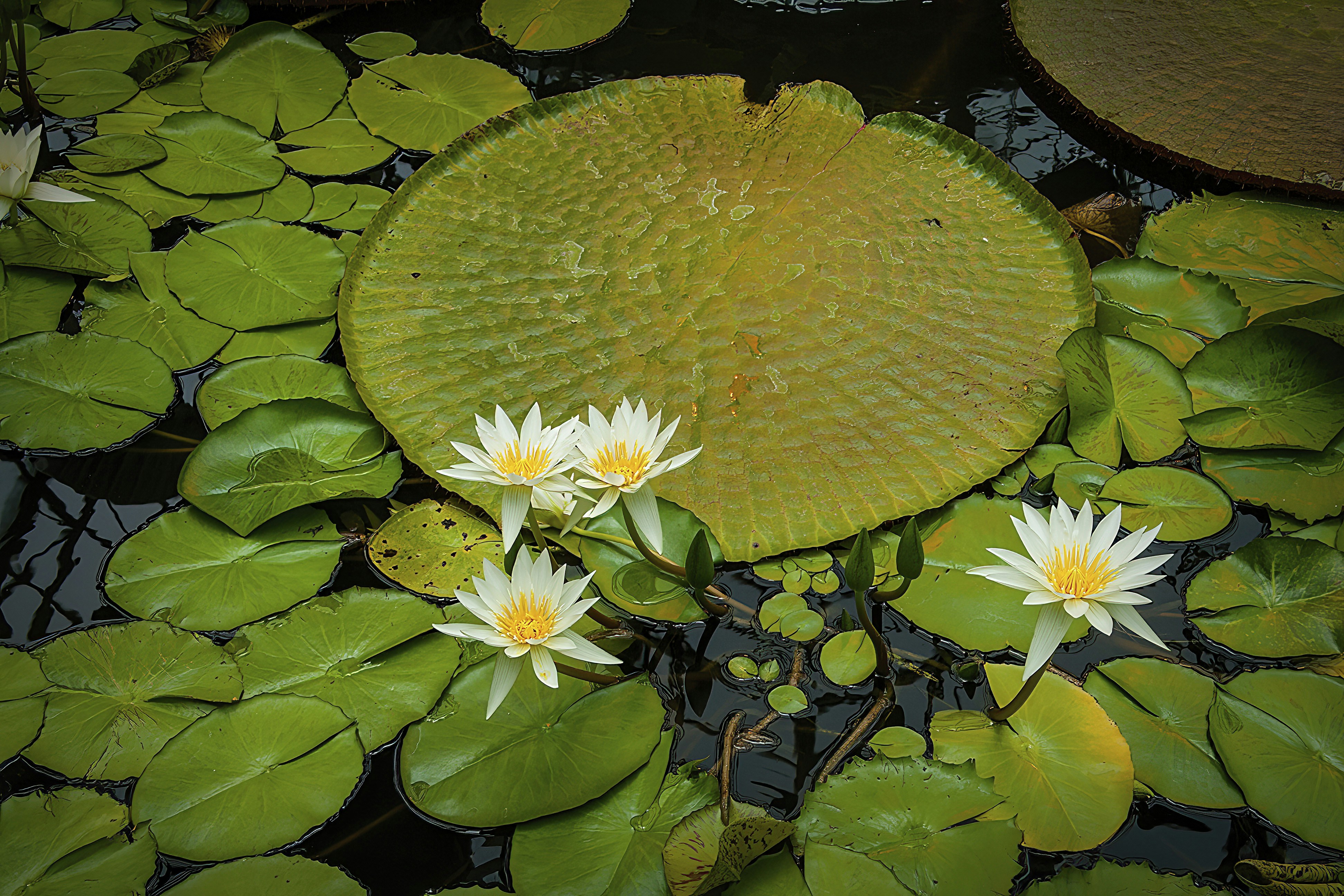 Photo by George Johnson with Canon EOS 400D