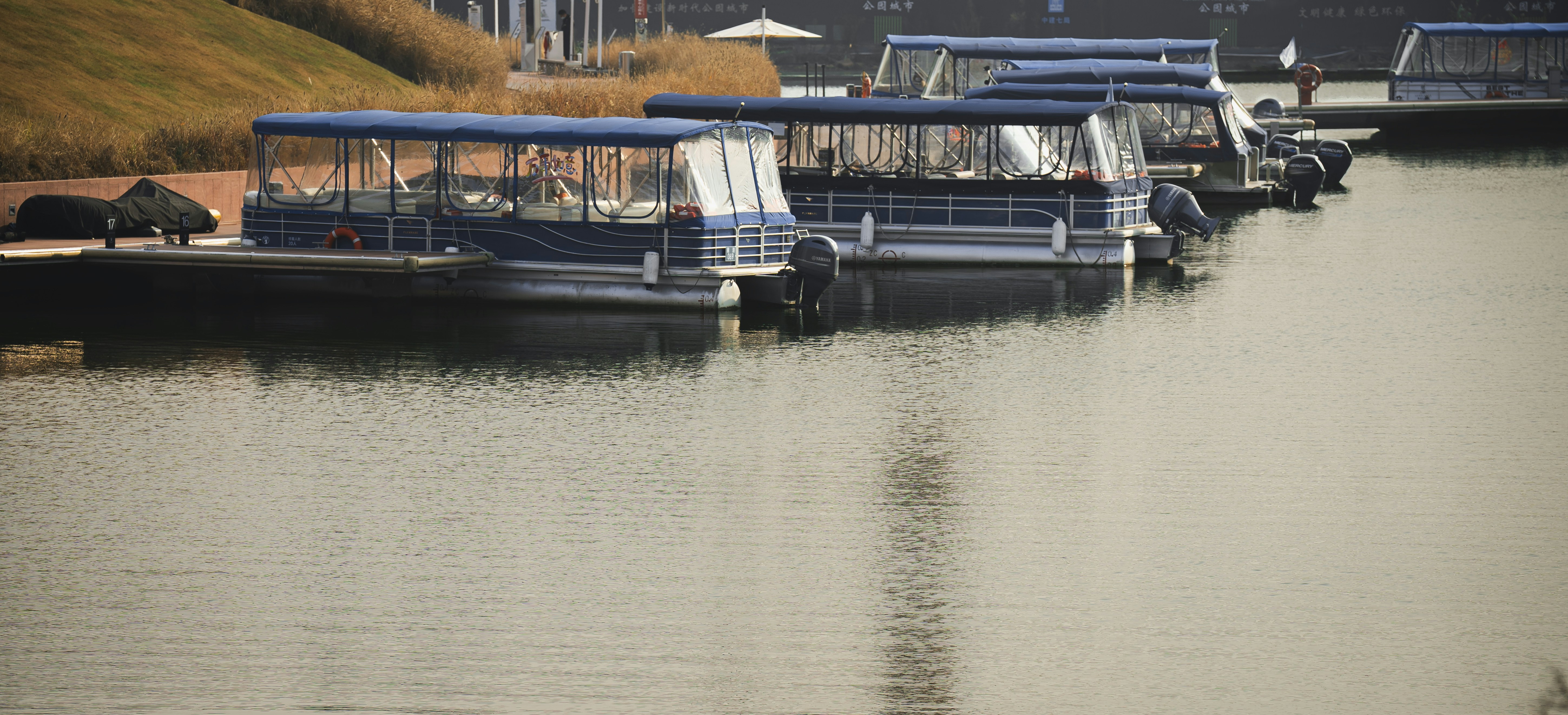 Reflections of Leisure: A Harbor Scene
