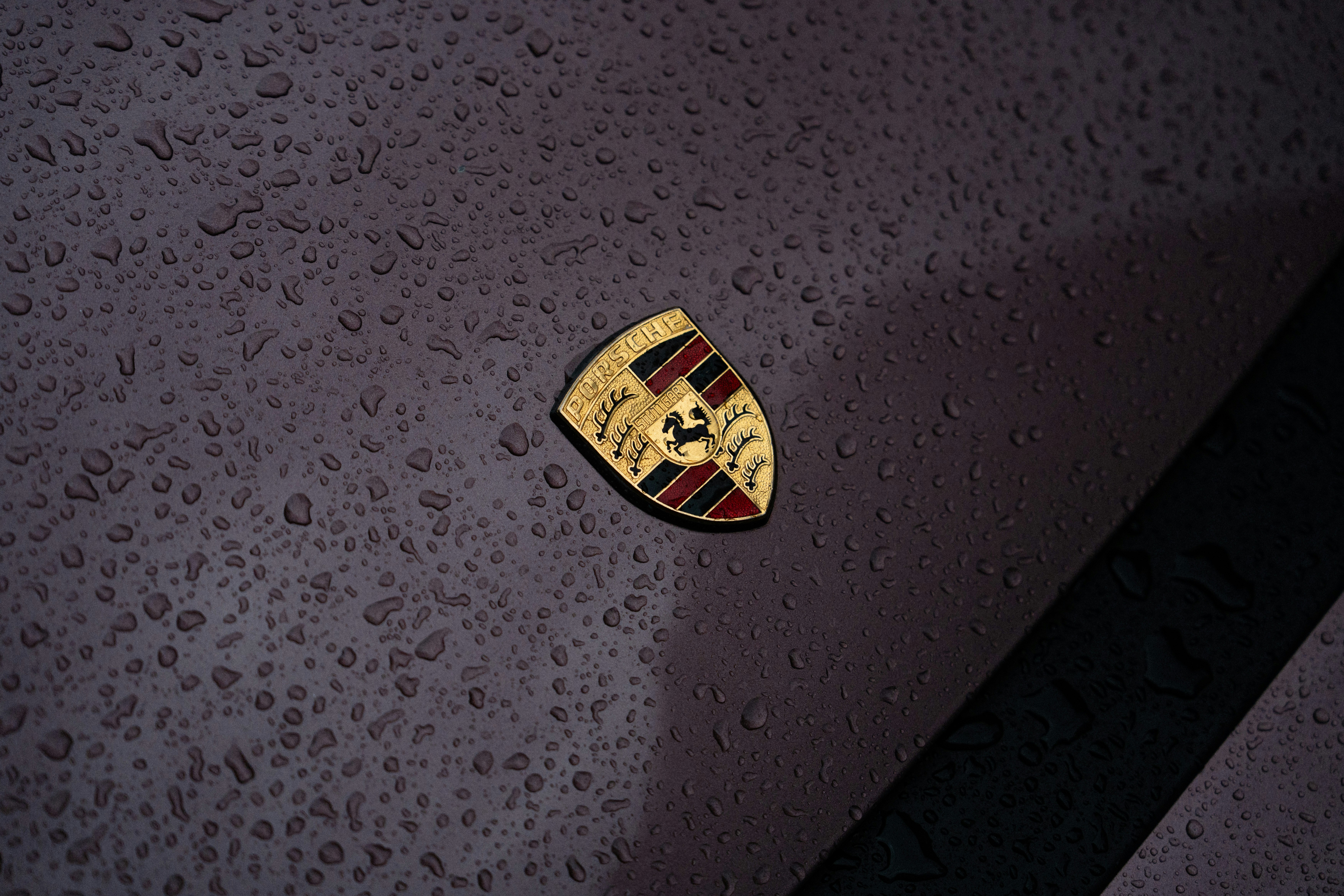 Porsche Crest on a Rain-Kissed Metallic Panel