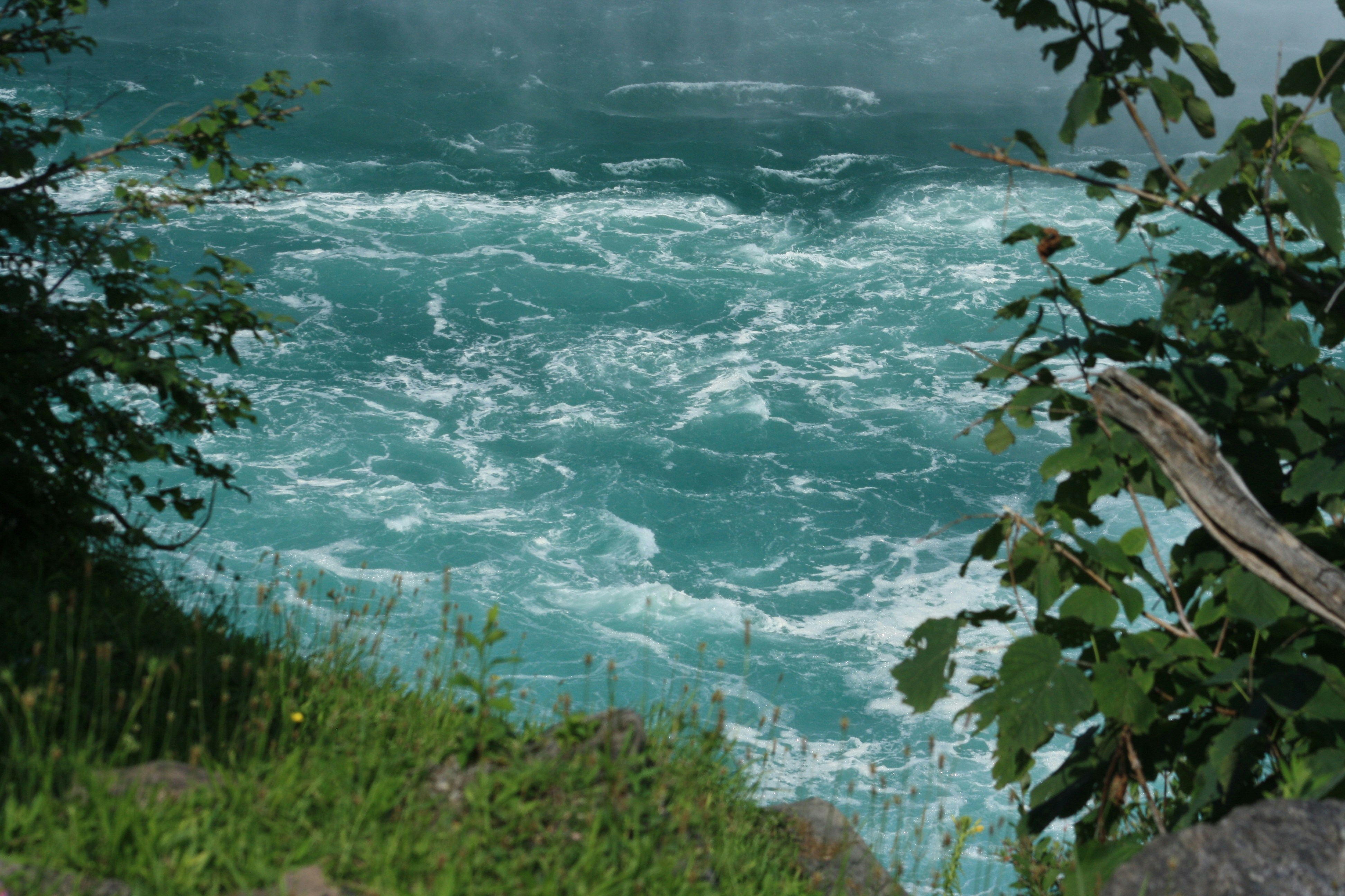 Turquoise Rapids Framed by a Green Canopy