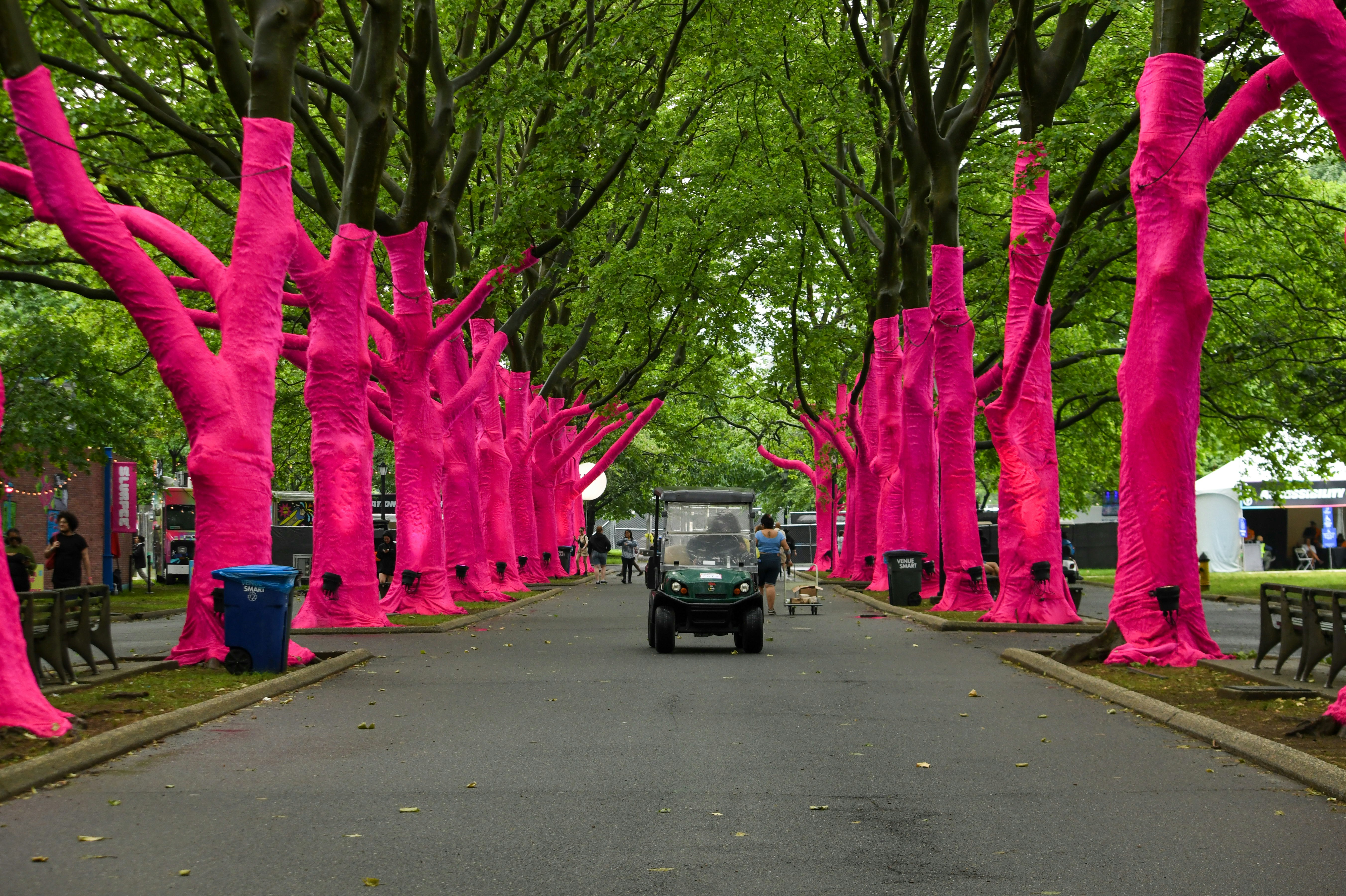 Magenta Canopy Boulevard: A solitary cart beneath pink-trunk trees