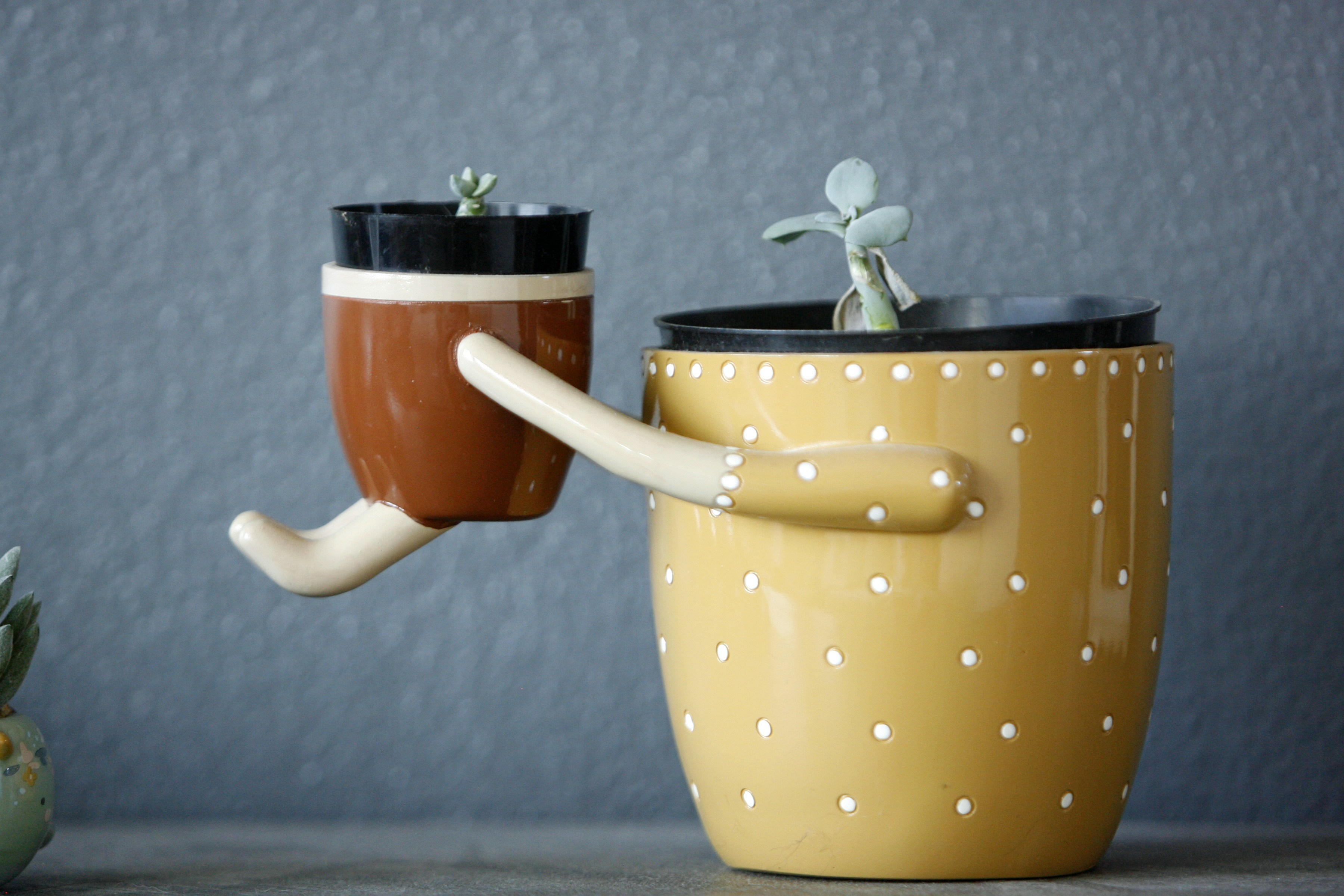 Whimsical Succulent Embrace