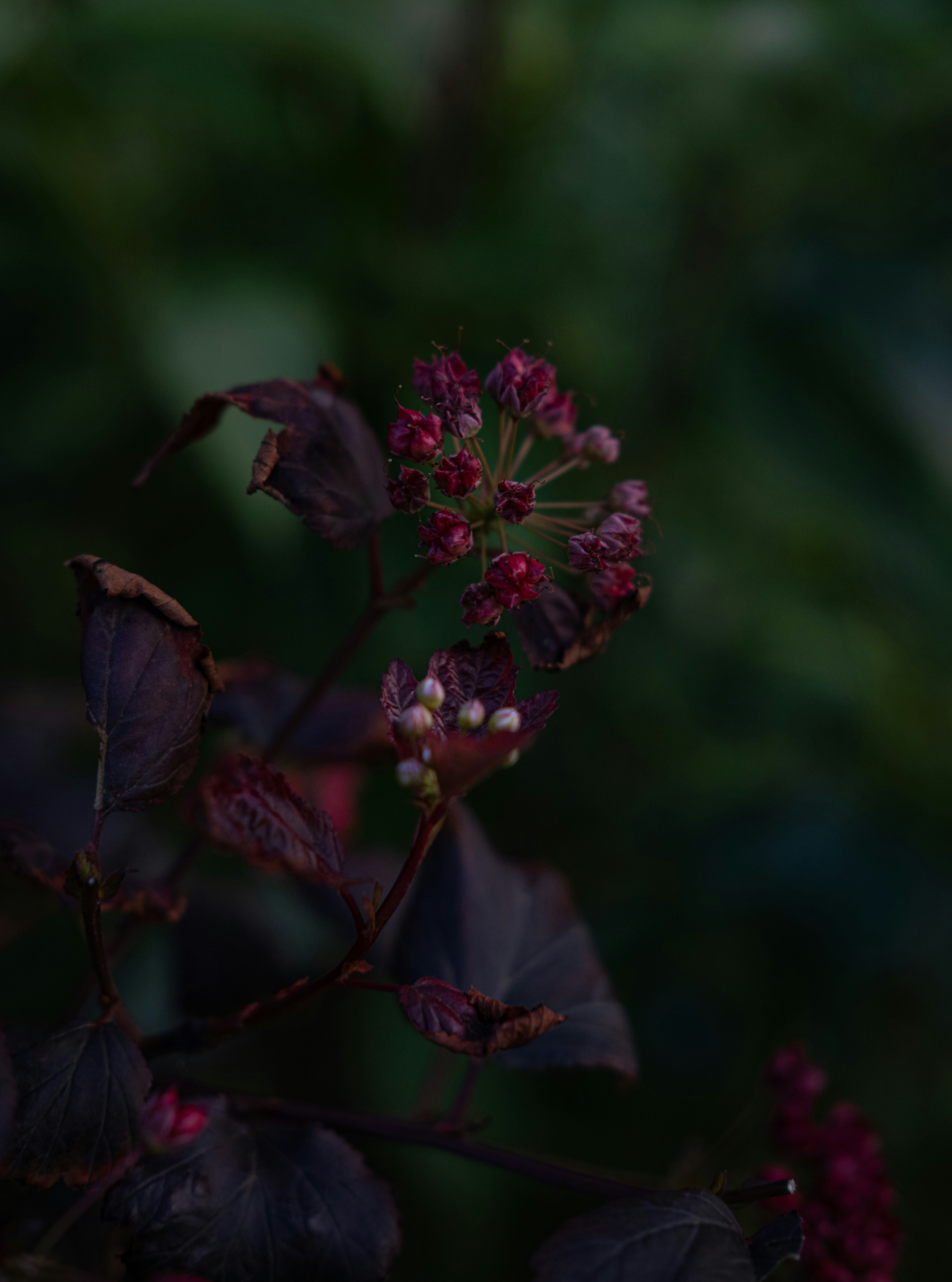 Photo by Anton Kotlovskii with Fujifilm X-T50