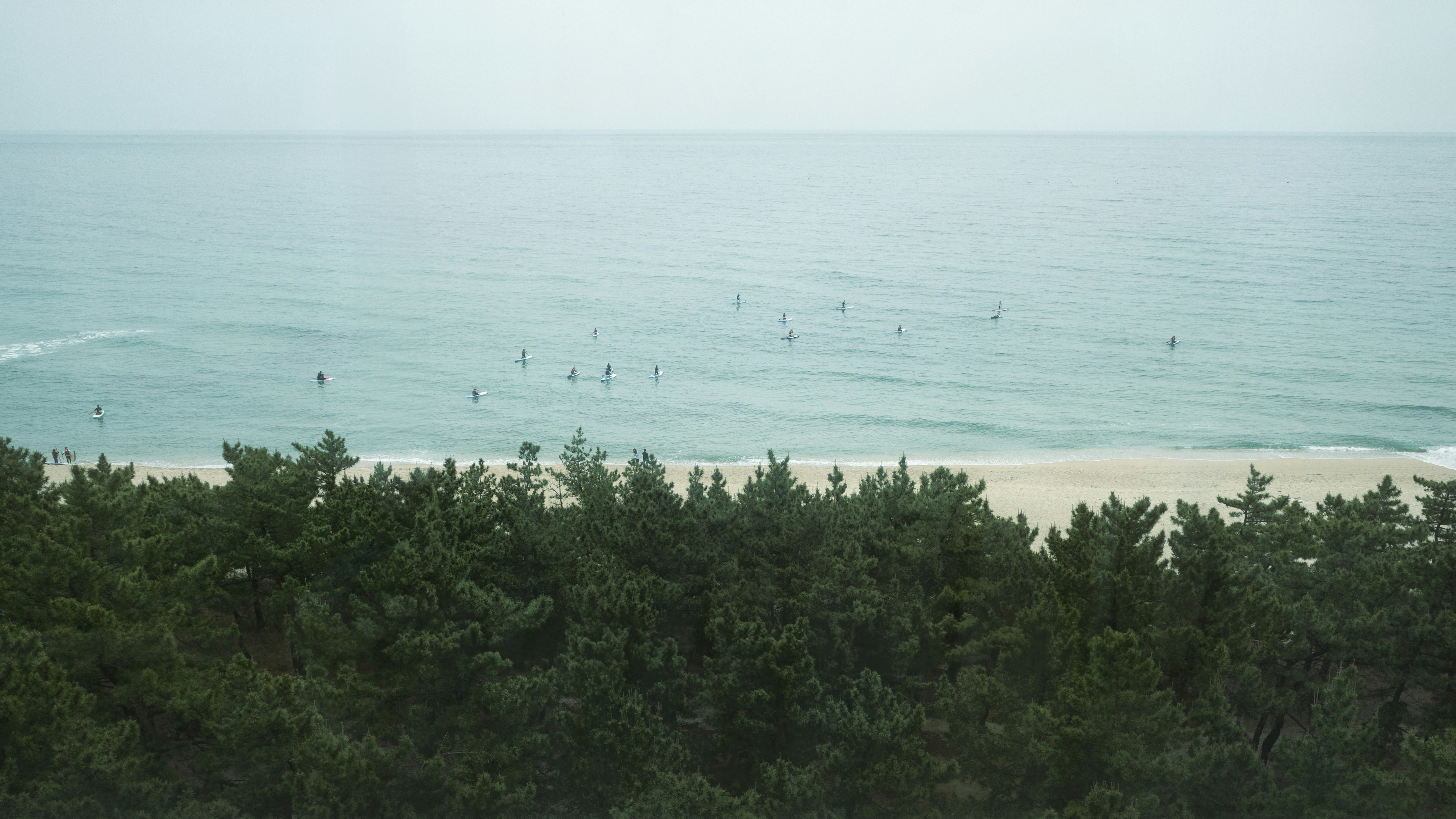 People surfing in the ocean next to a beach. photo – Free Beach Image ...