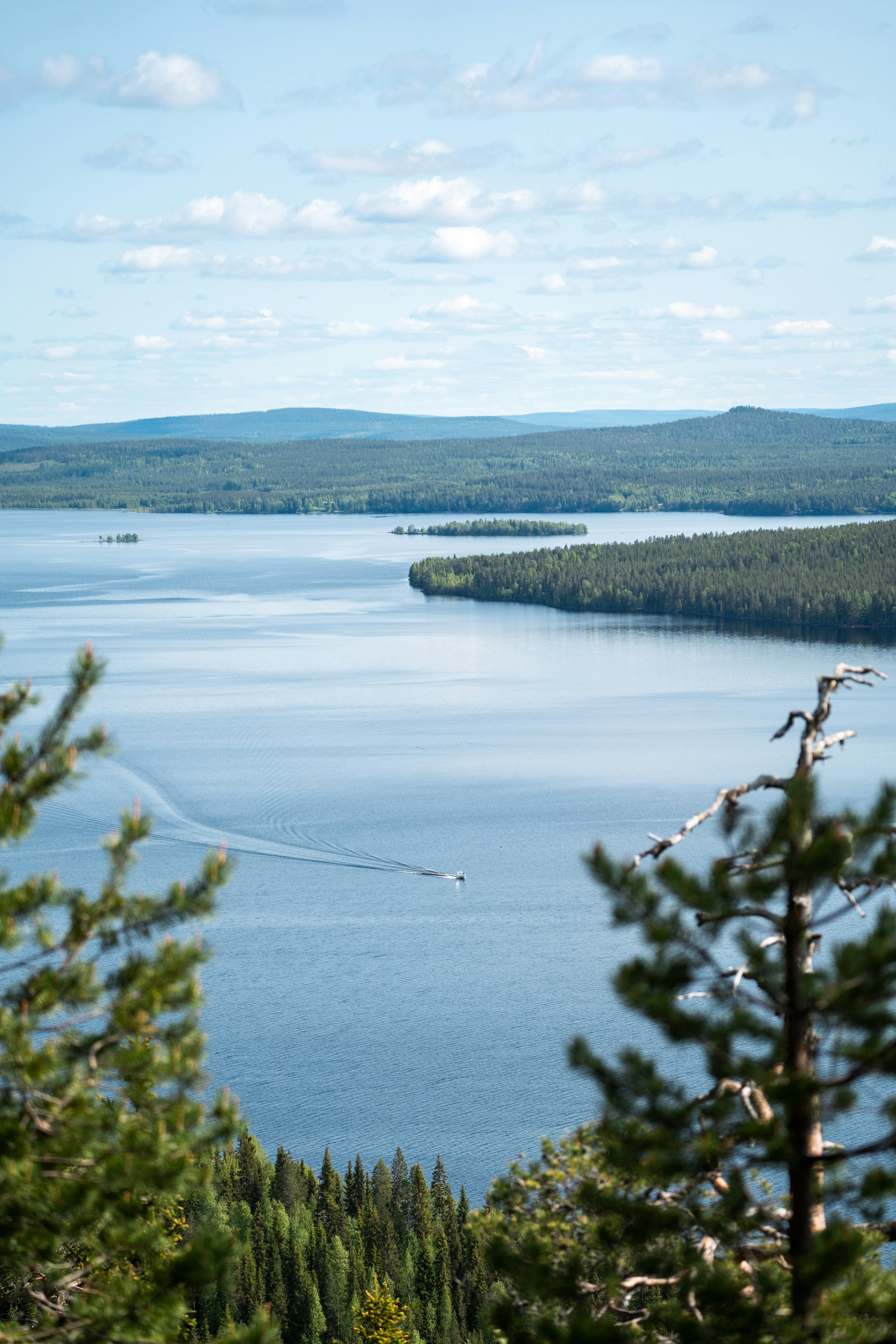 A serene lake landscape with distant trees.