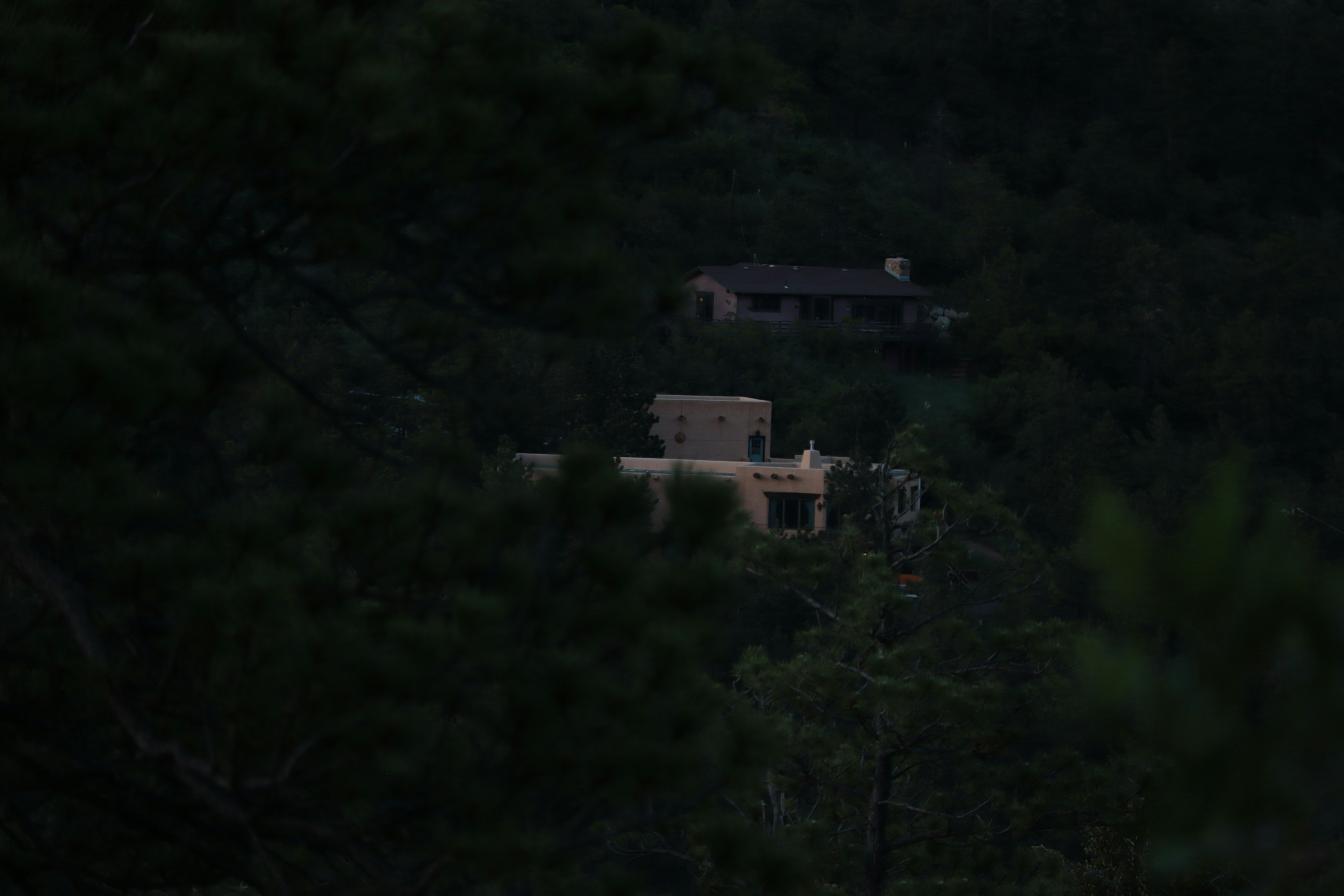 Secluded structures nestled among dense foliage at dusk, revealing a blend of architecture and nature's embrace.