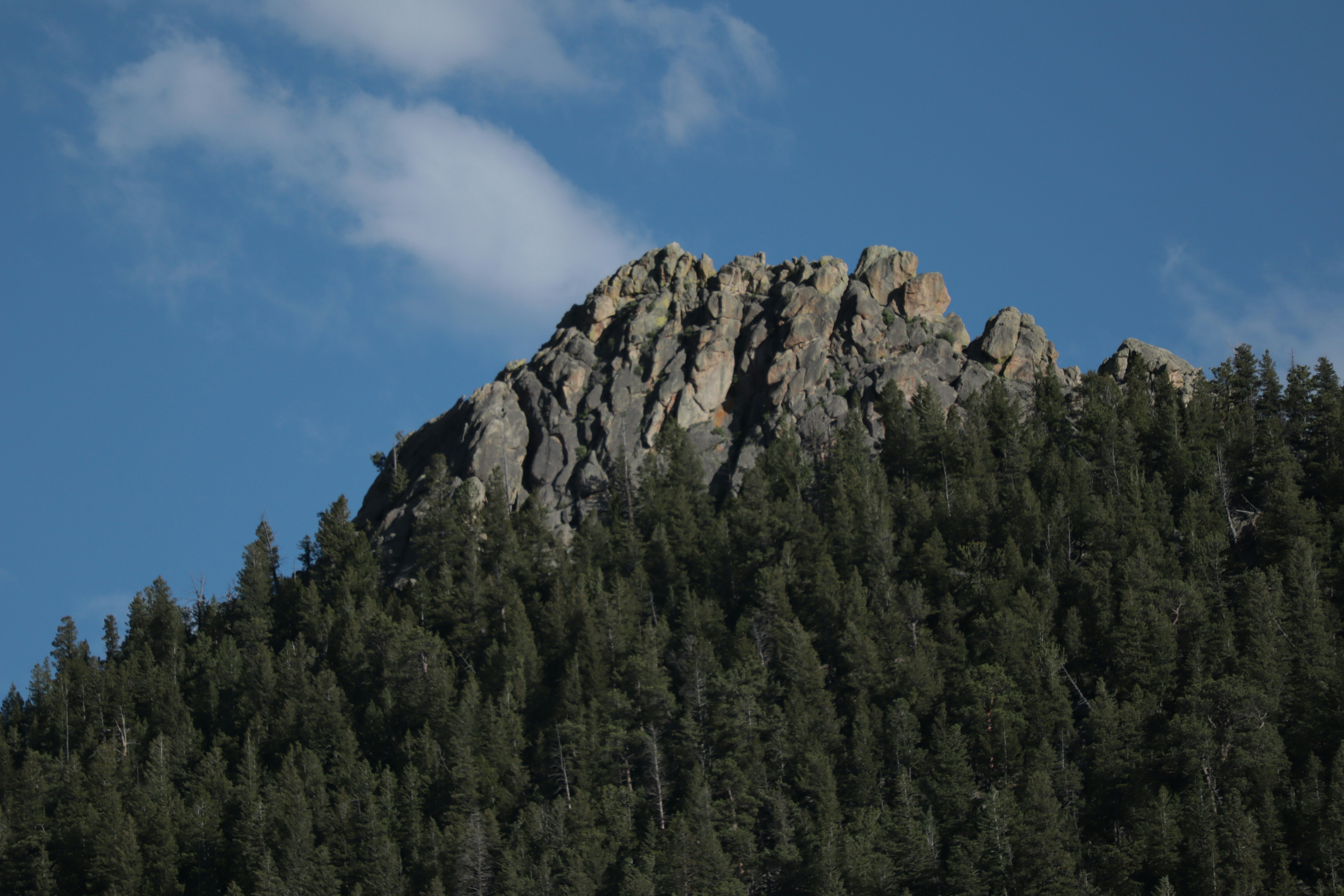 A rocky mountain peak towers above a forest.