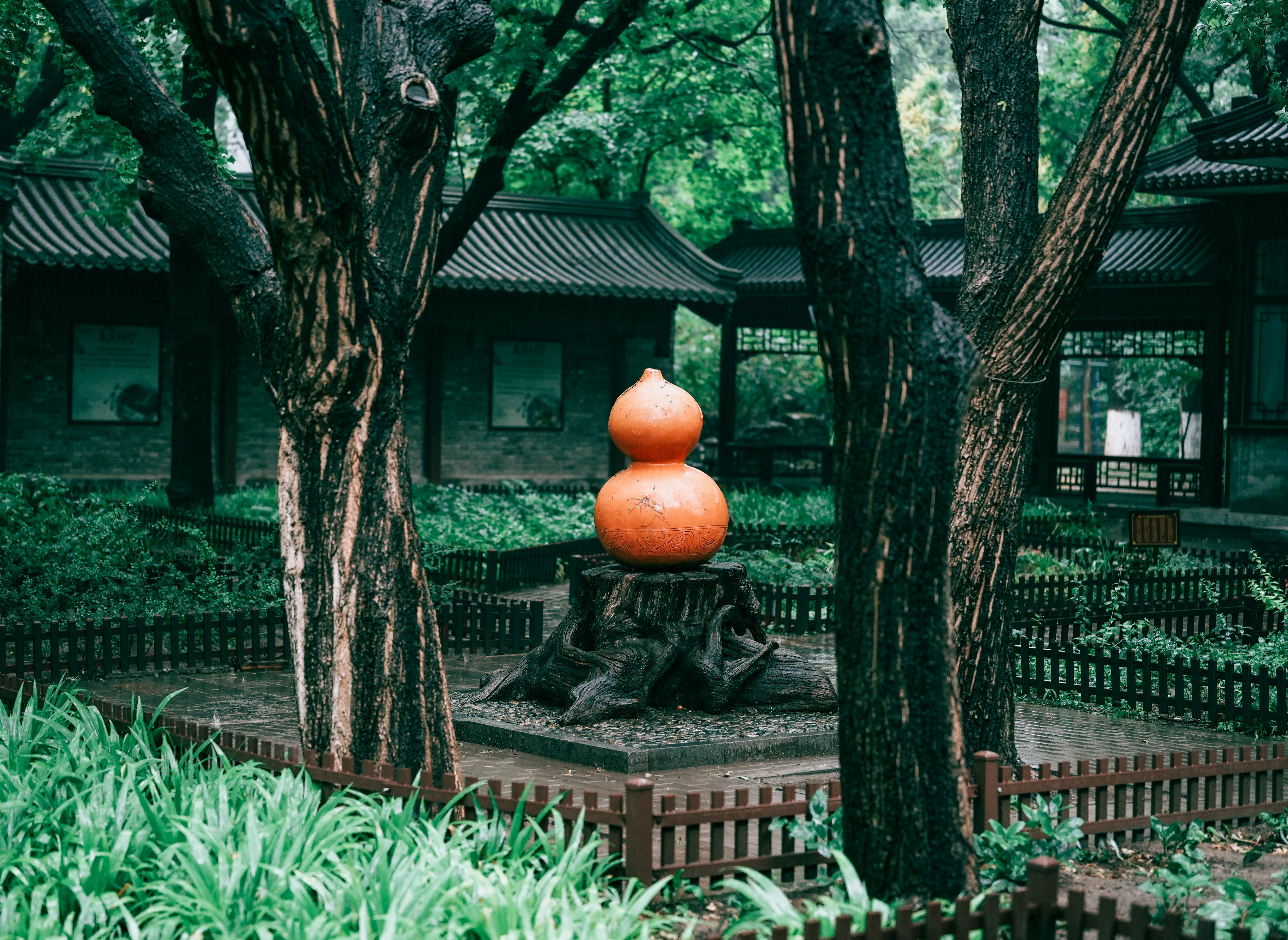 Photo by Wenying Yuan with Sony Alpha 7C II