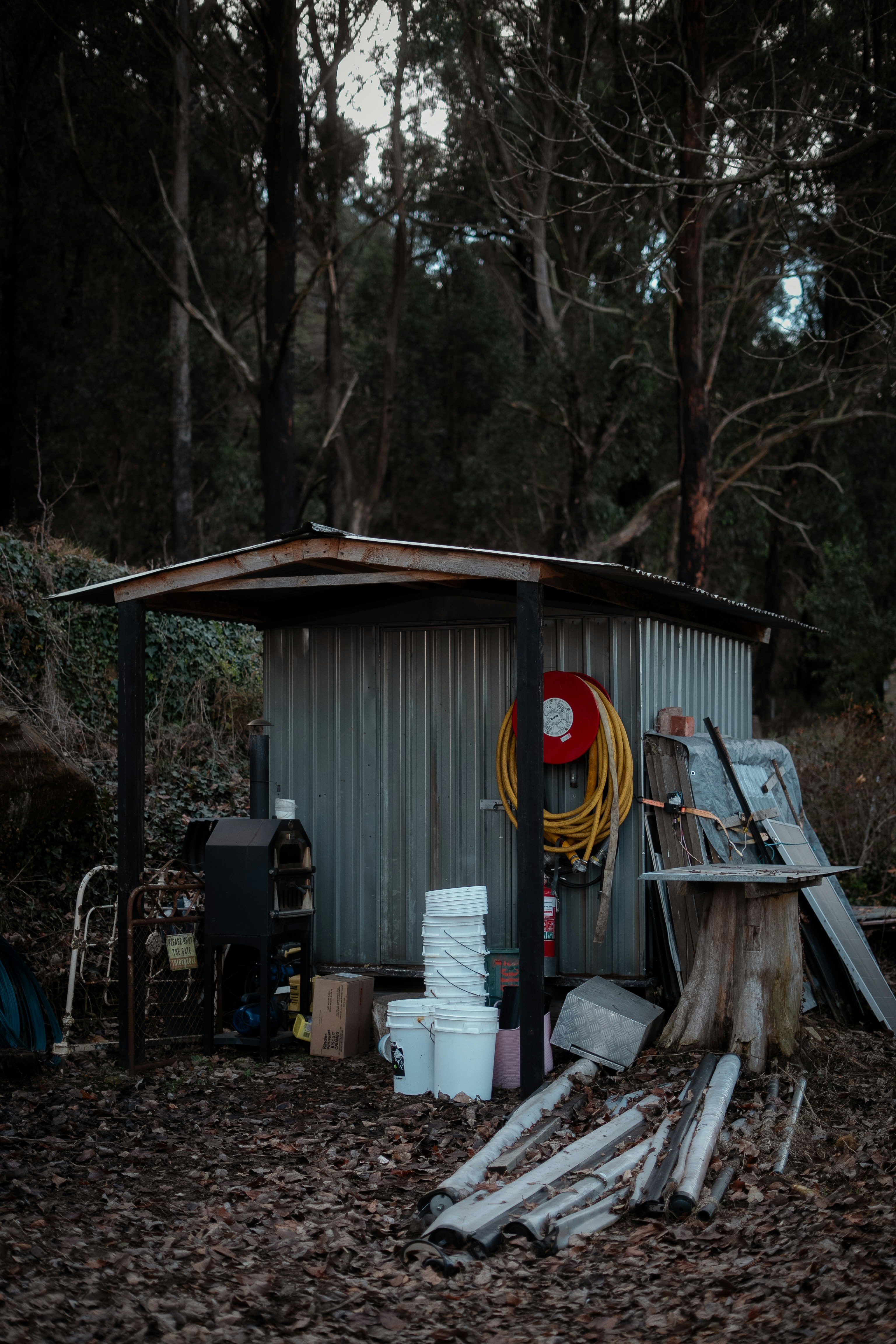 Forgotten shed under the pines, hoses and debris in quiet dusk