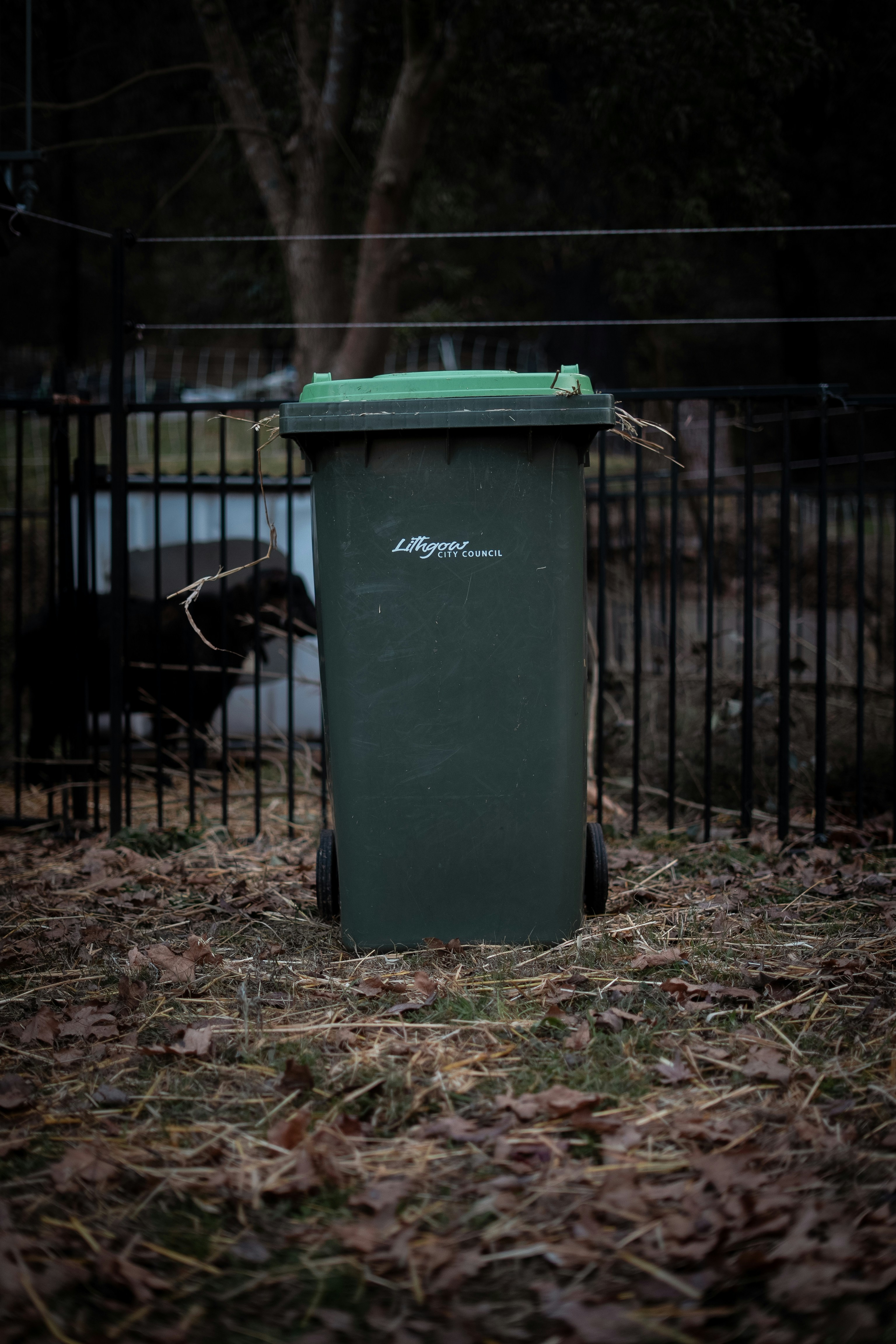 Urban Waste: A Reflection of Modern Life