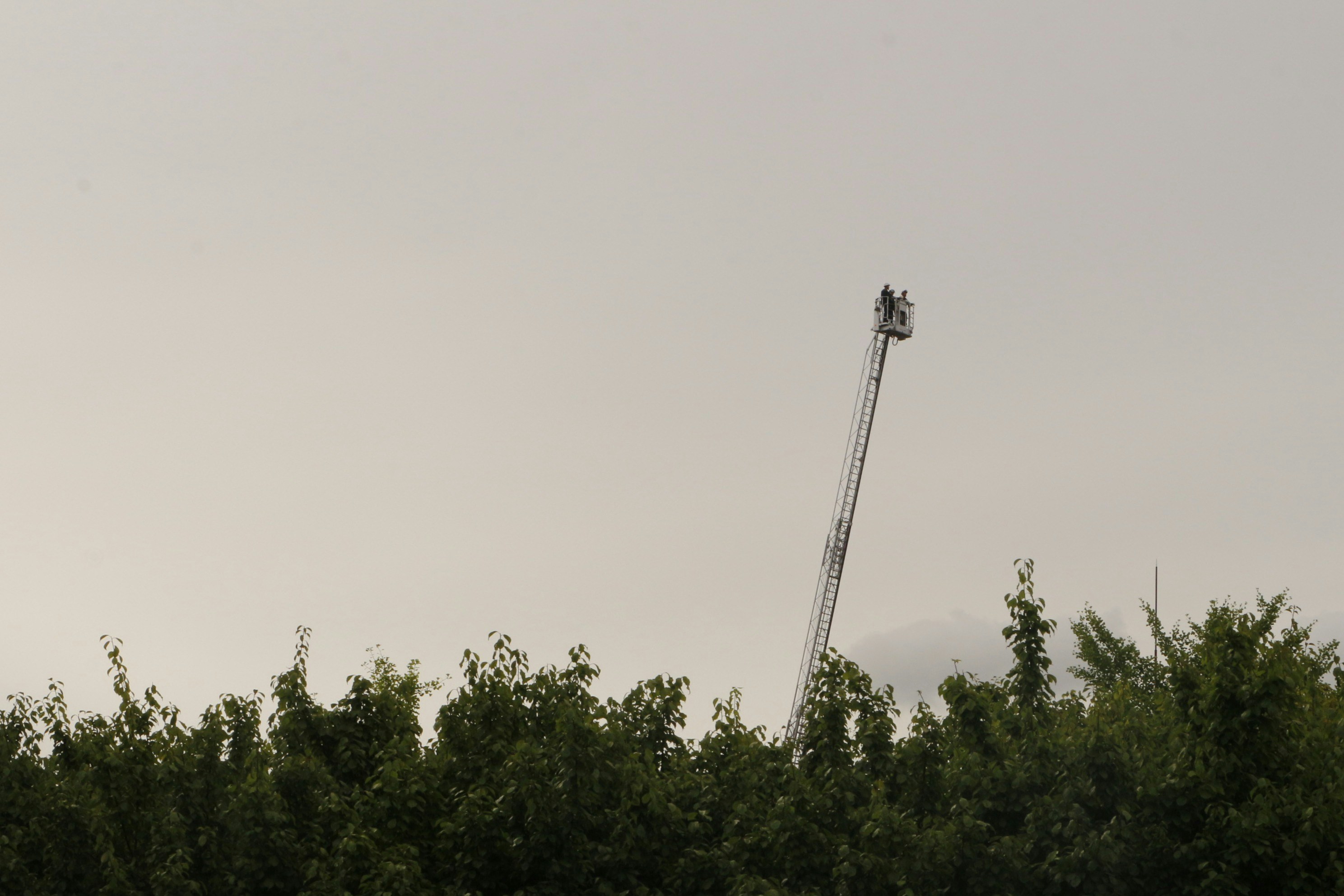 Reaching New Heights: The Silent Watchtower