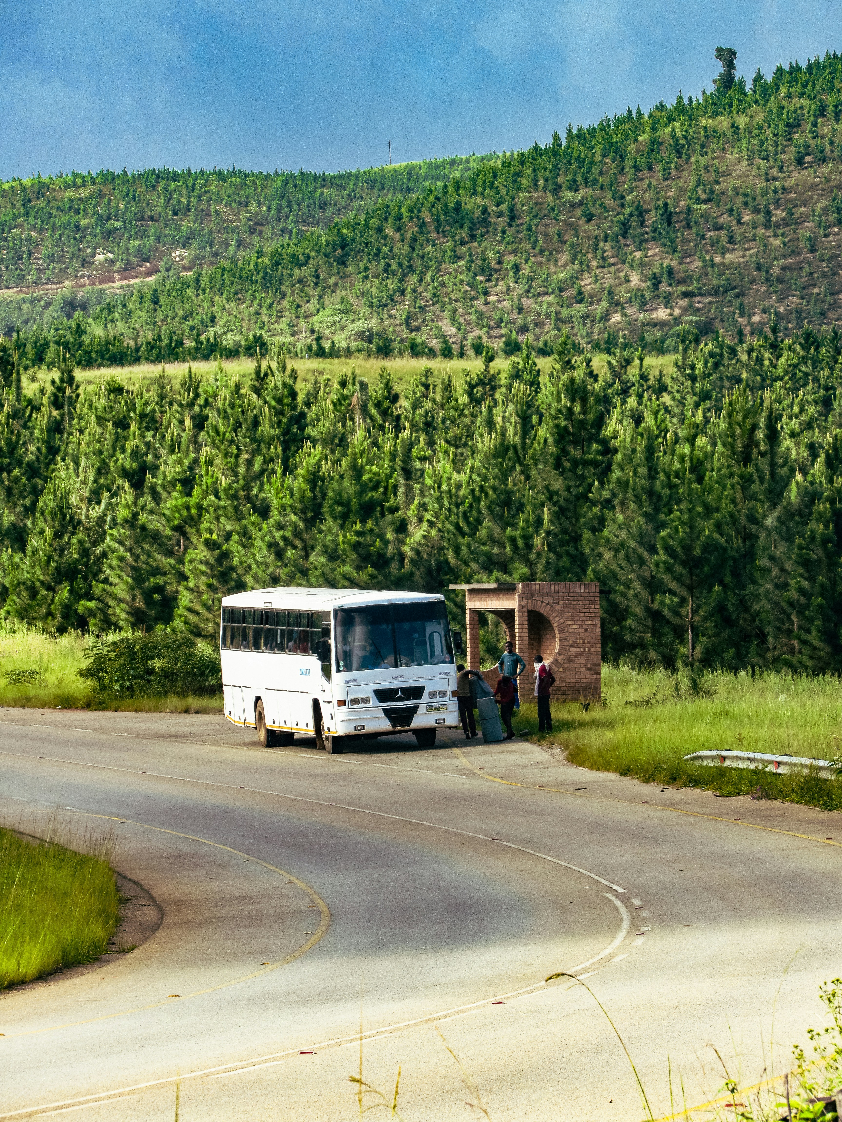 Verdant Bend Stop: A White Bus at the Edge of the Pines