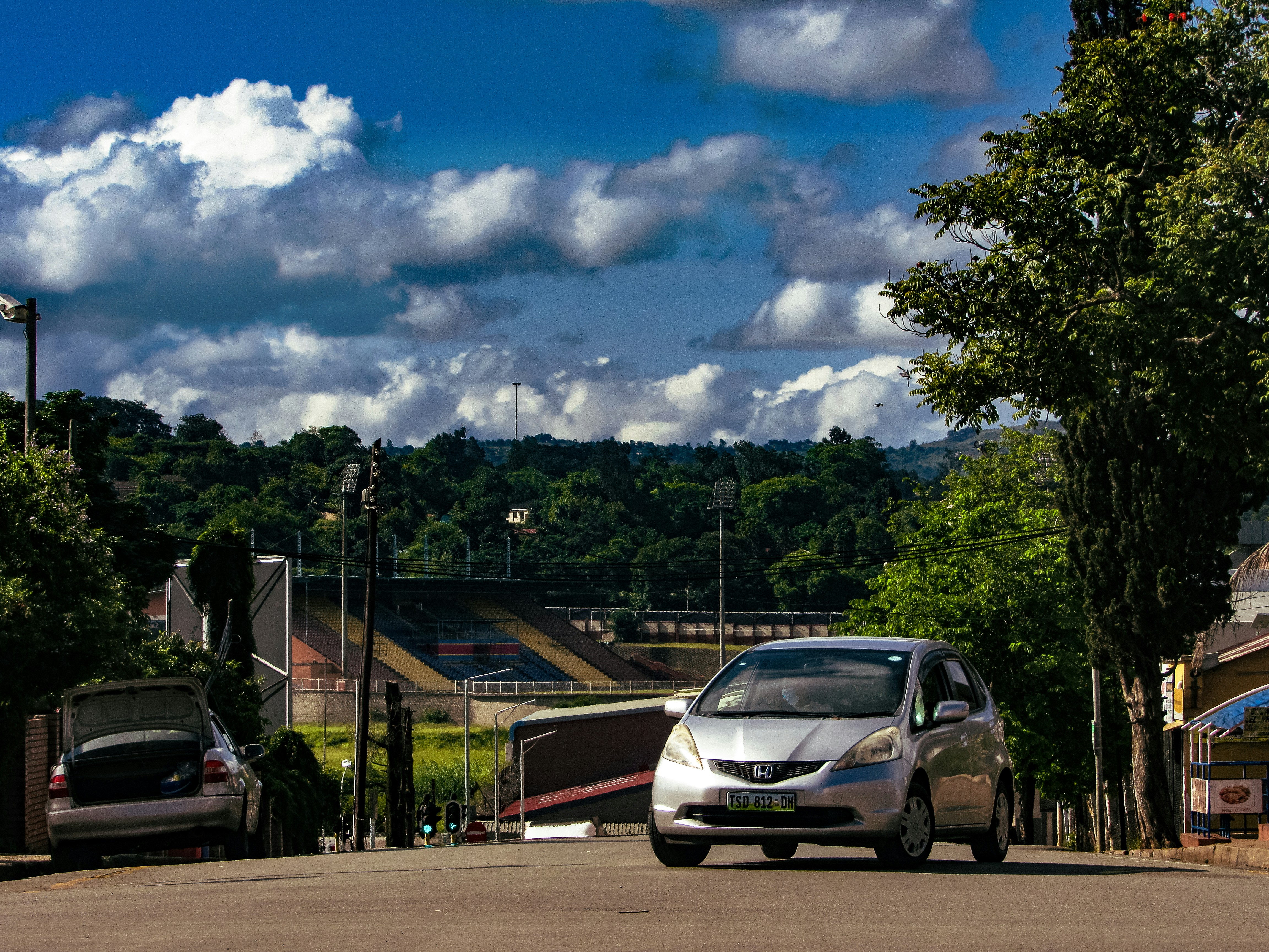 Urban Serenity: A Quiet Drive Through Nature's Embrace