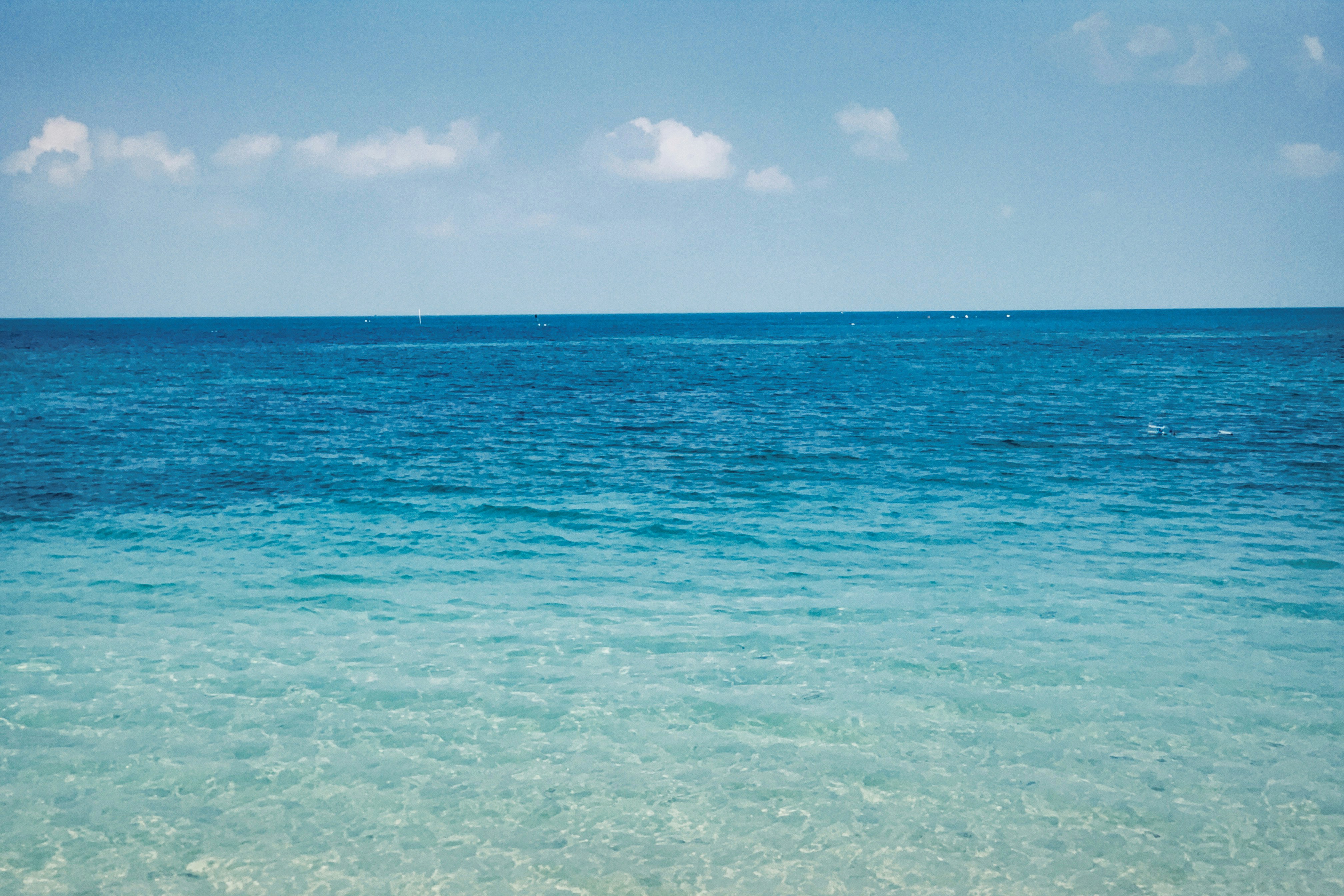 Vast expanse of clear blue ocean meeting a bright sky, with gentle waves lapping at the shore. The serene atmosphere invites relaxation.