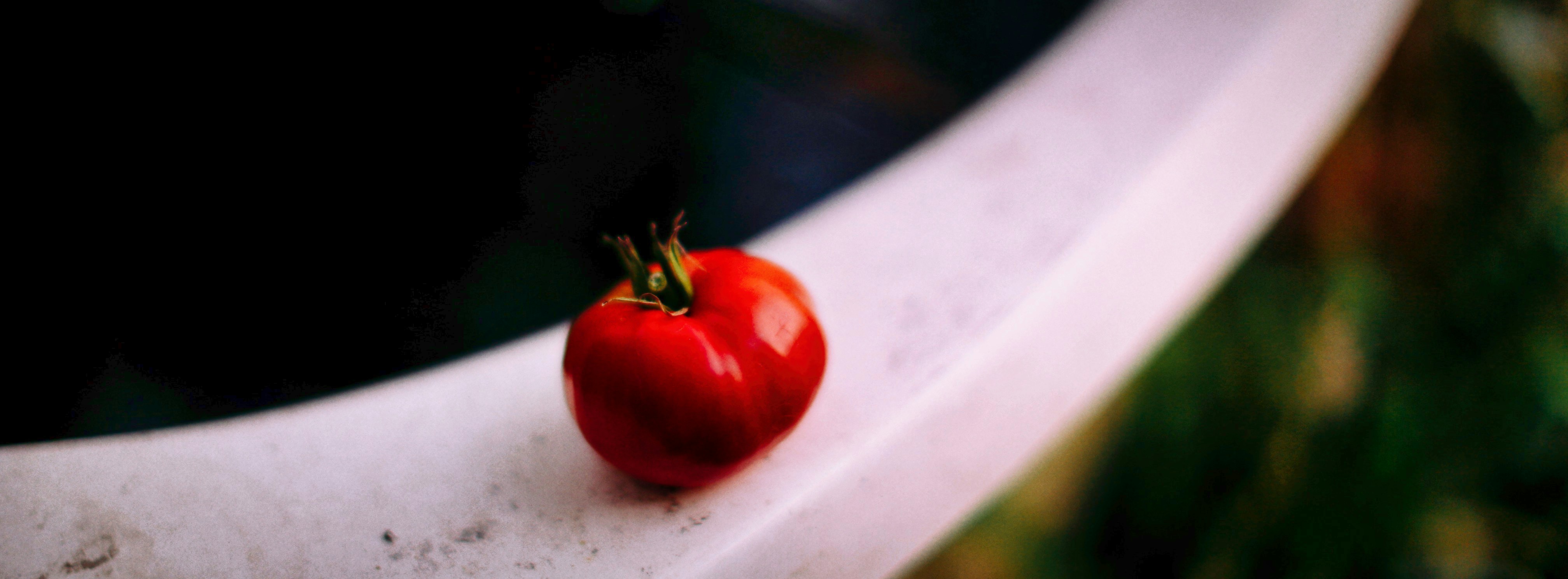 The Vibrant Harvest: A Tomato's Journey
