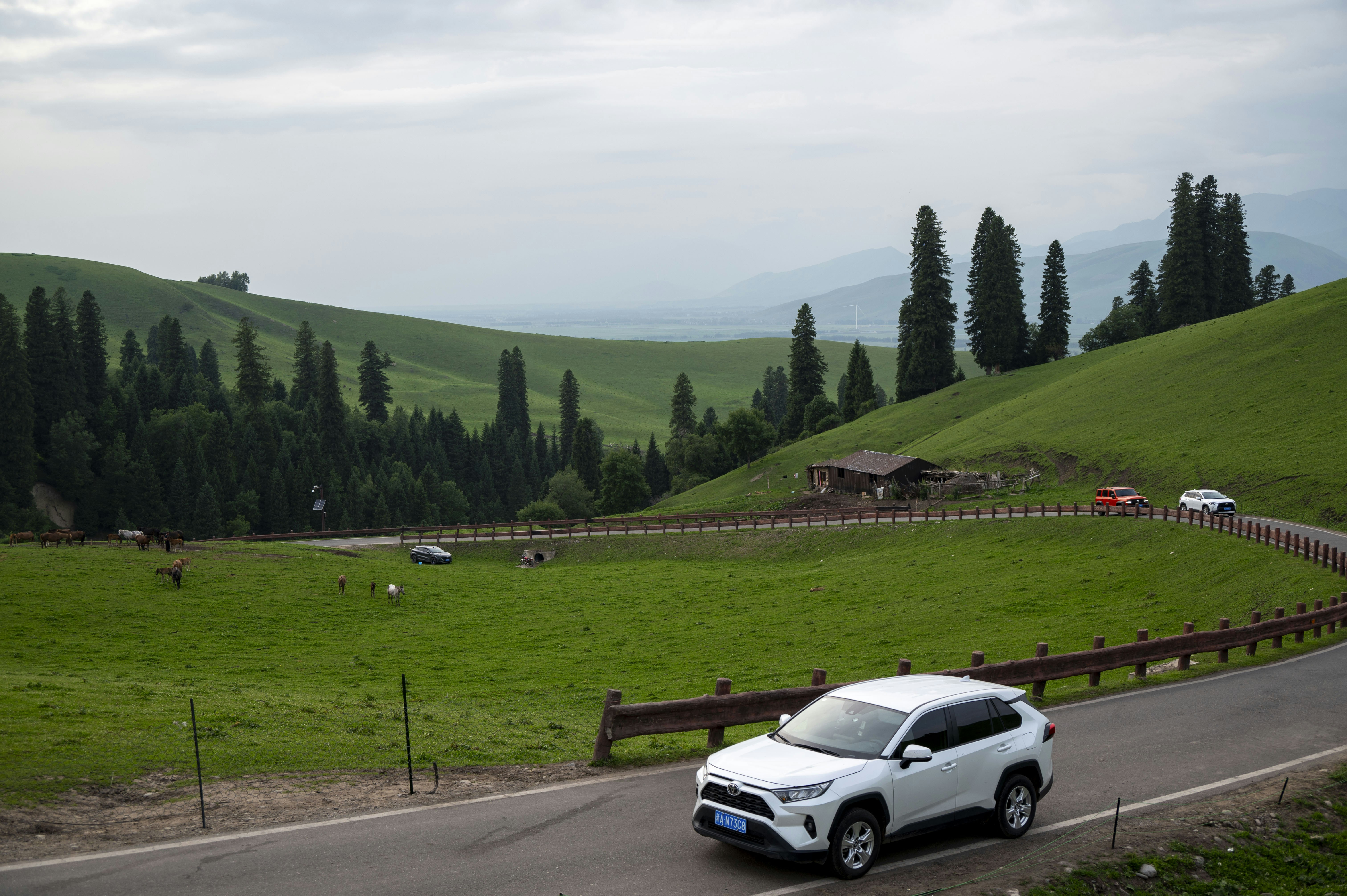 Winding Alpine Road: White SUV Tracing a Quiet Curve Through Green Hills