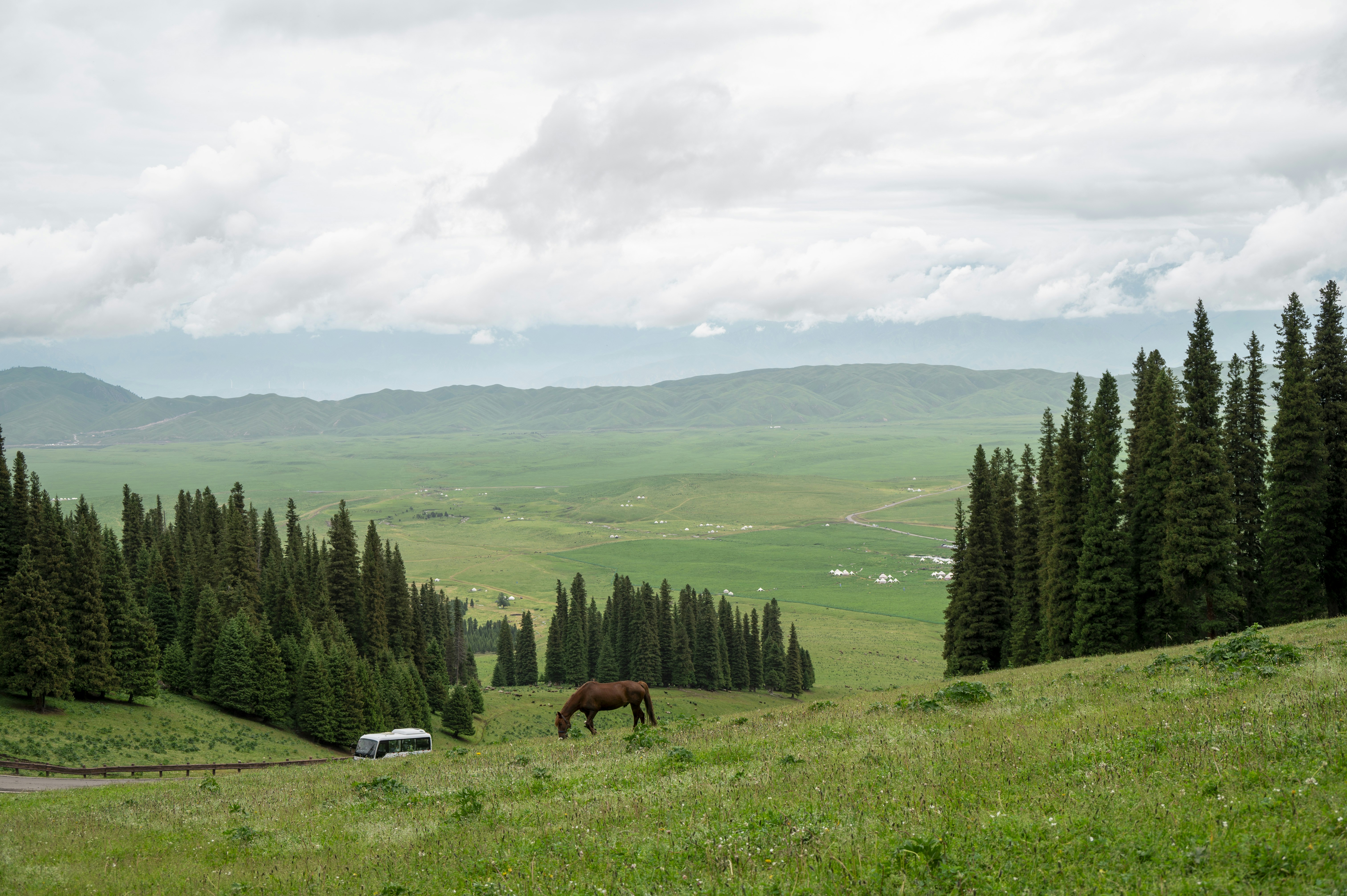 A horse grazes peacefully in a green valley.