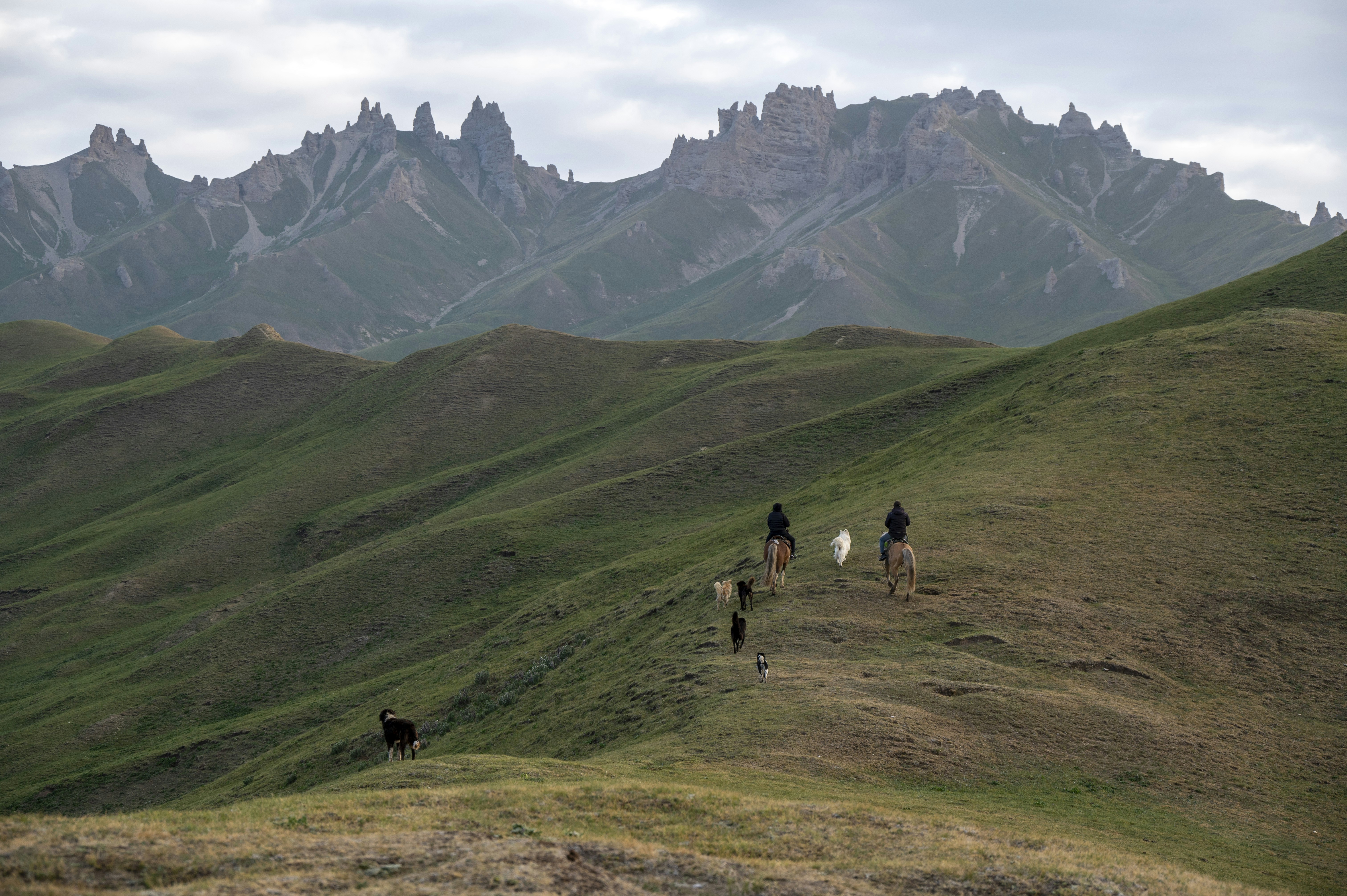 Herding Along the Ridge Toward The Needle-peak Range
