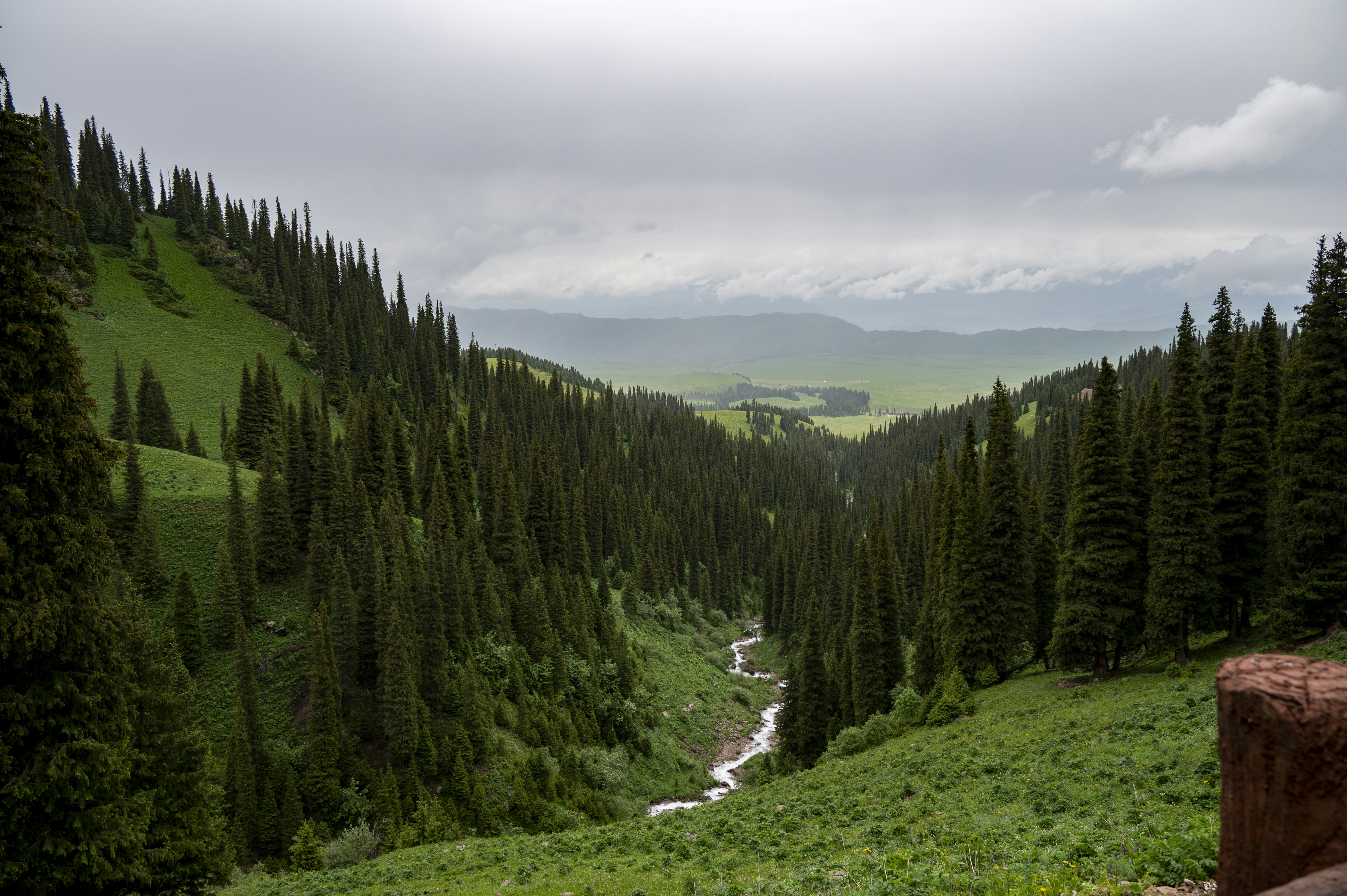 A forested valley leads to a distant landscape. photo – Free Forest ...