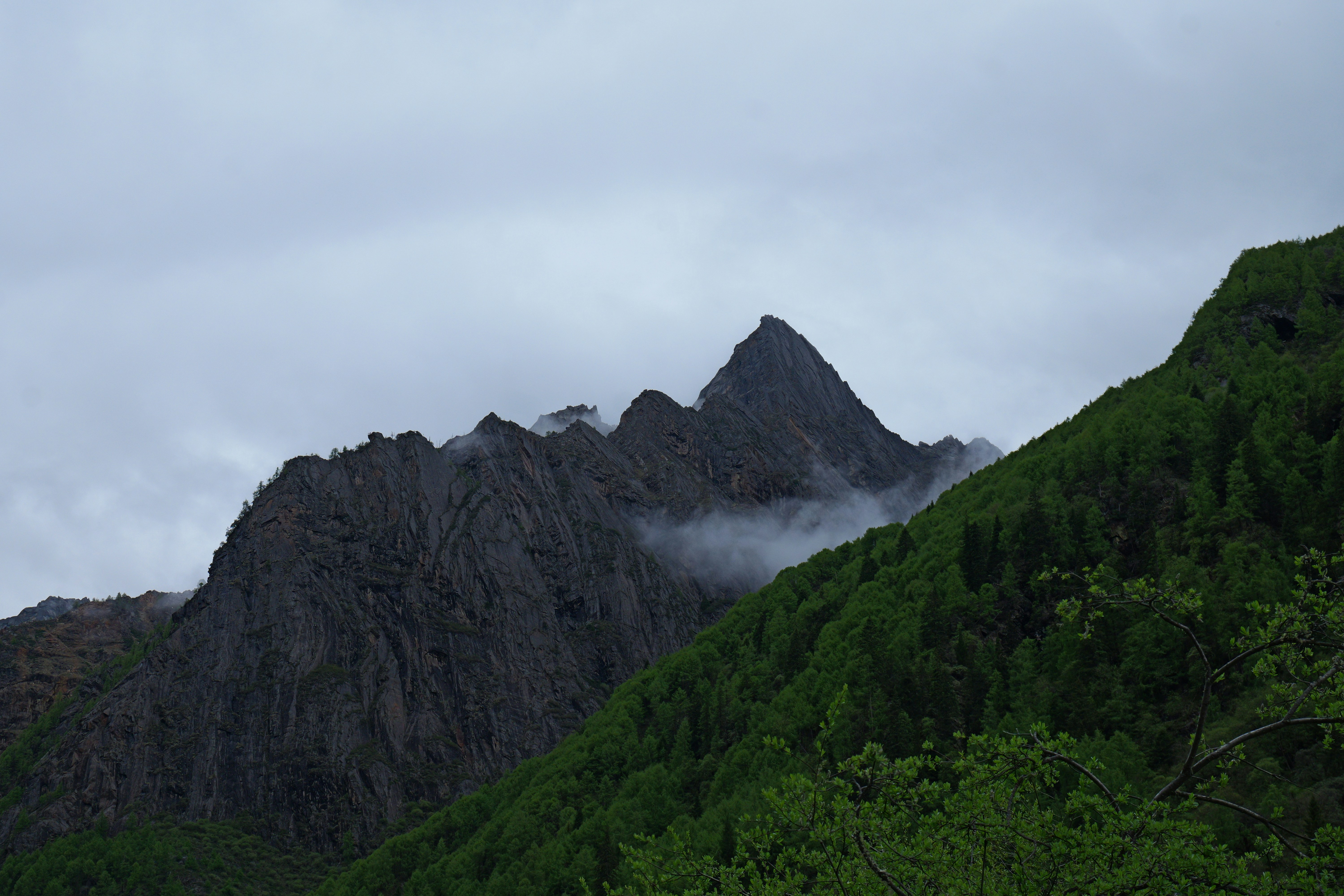 Whispers of the Mountain: Nature's Silent Majesty