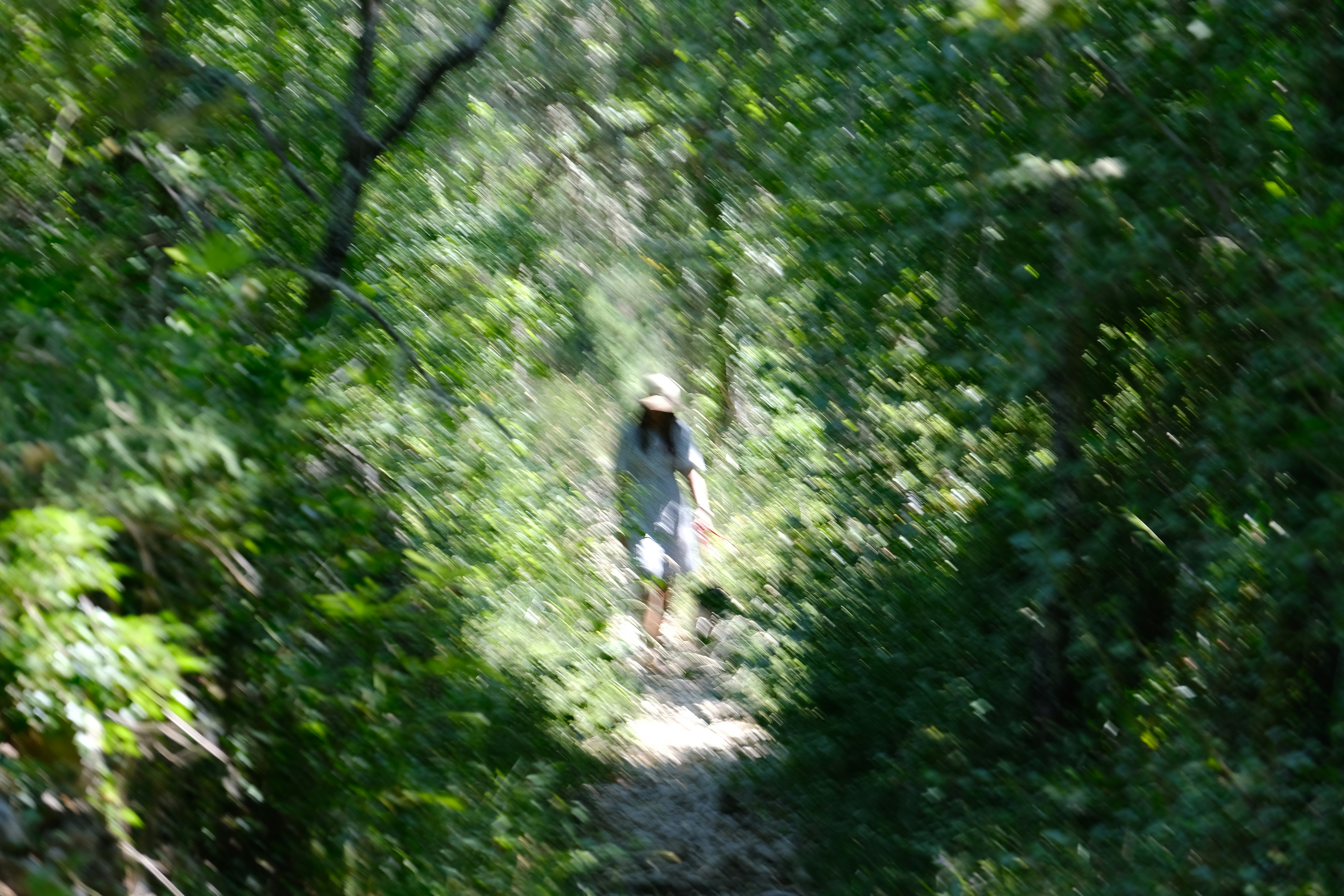 A woman walking in the forest | A person walks on a trail through trees.